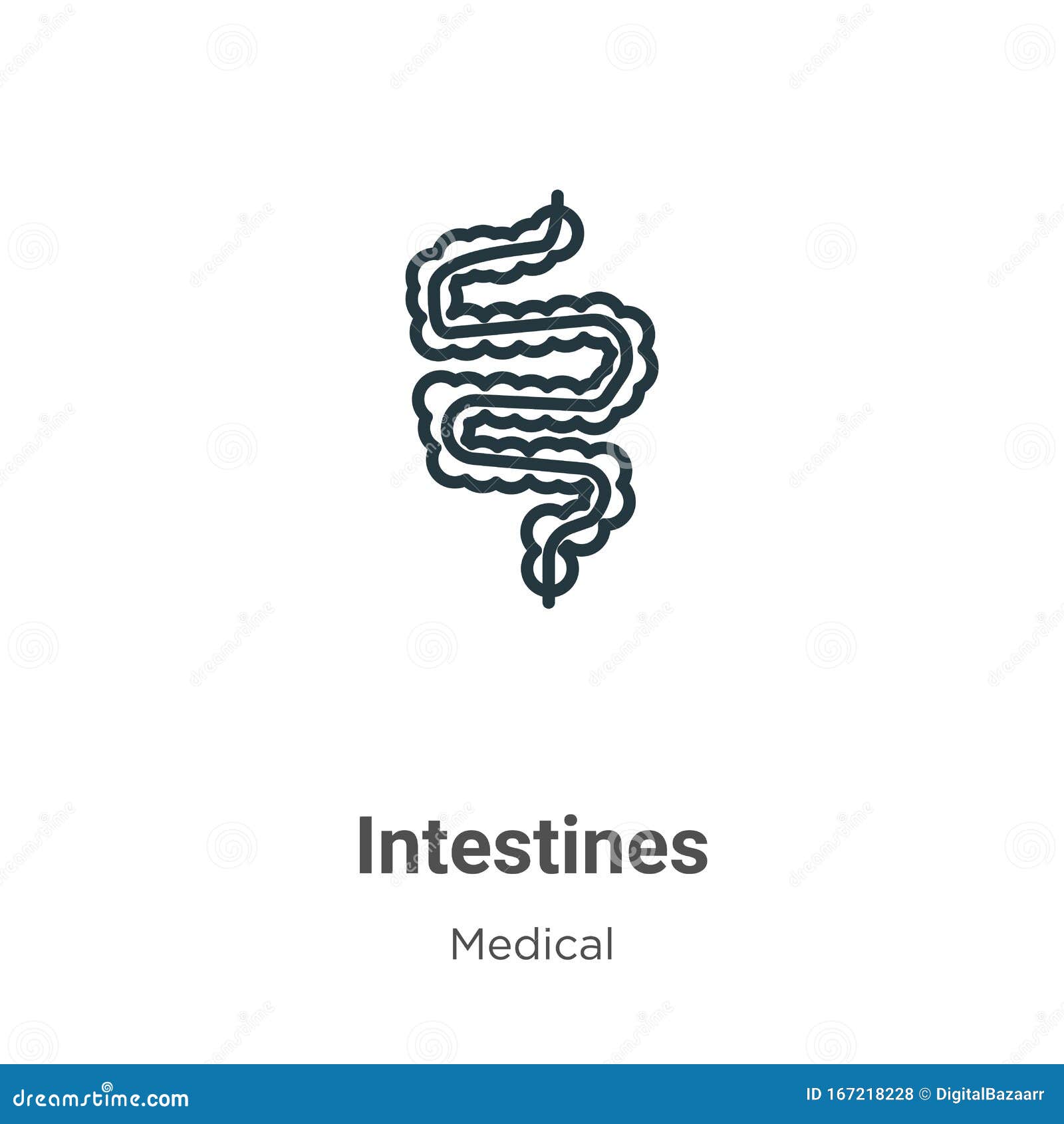 Intestines Outline Vector Icon. Thin Line Black Intestines Icon, Flat ...