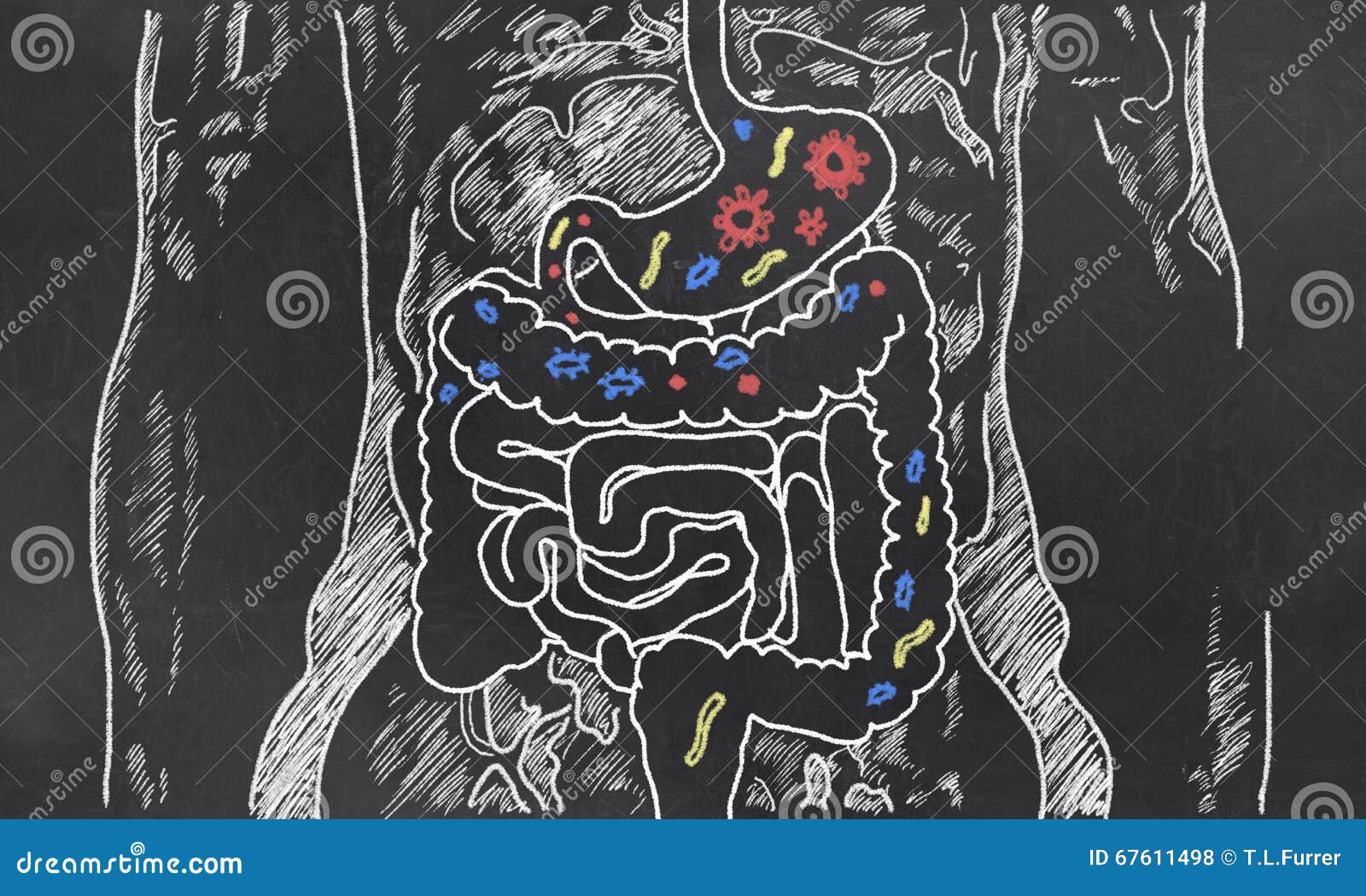 Intestine With Bacteria Line Icon. Irritable Bowel Syndrome ...