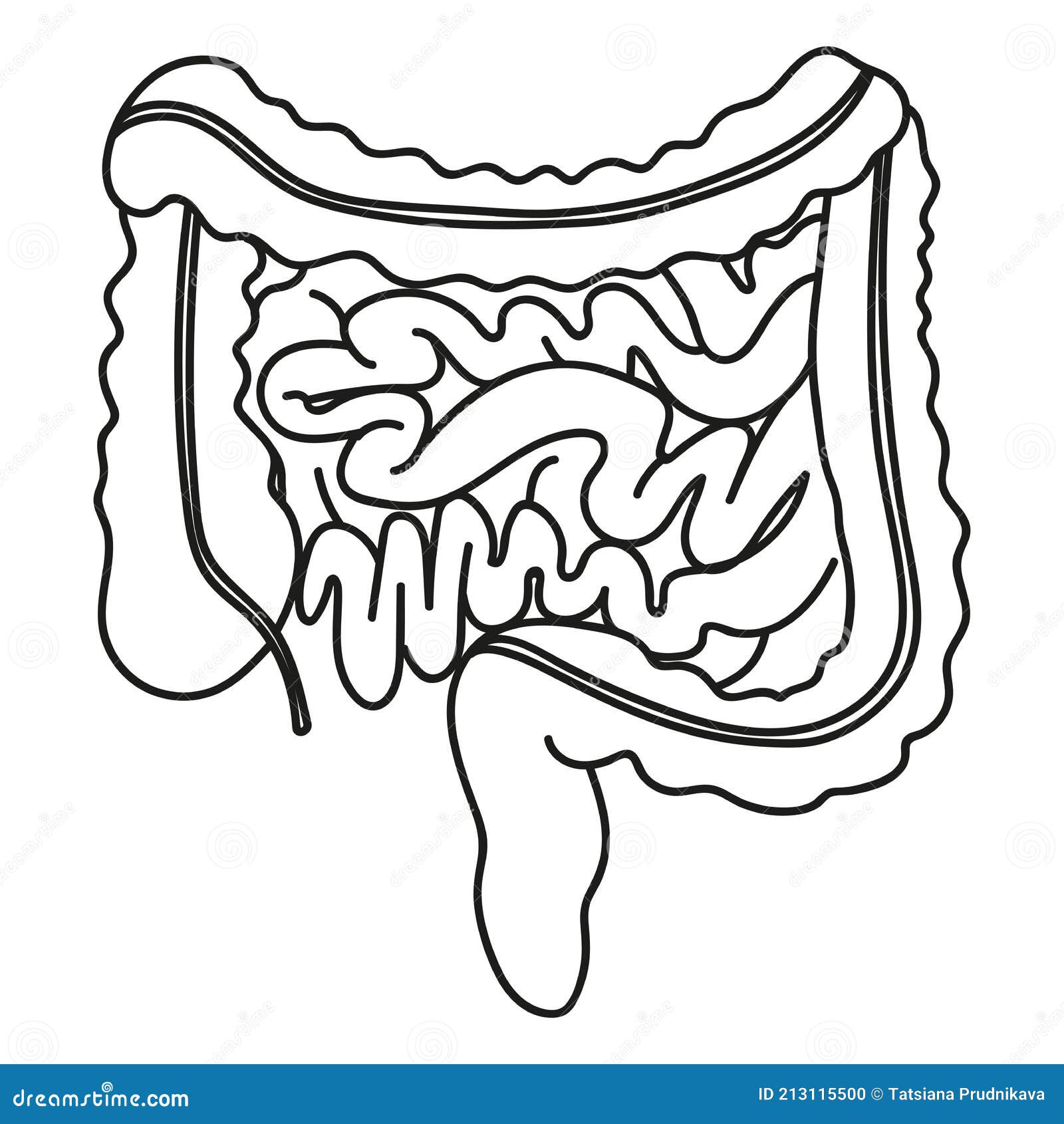 Intestines Doodle Vector Illustration. Digestive System Cartoon Icons ...