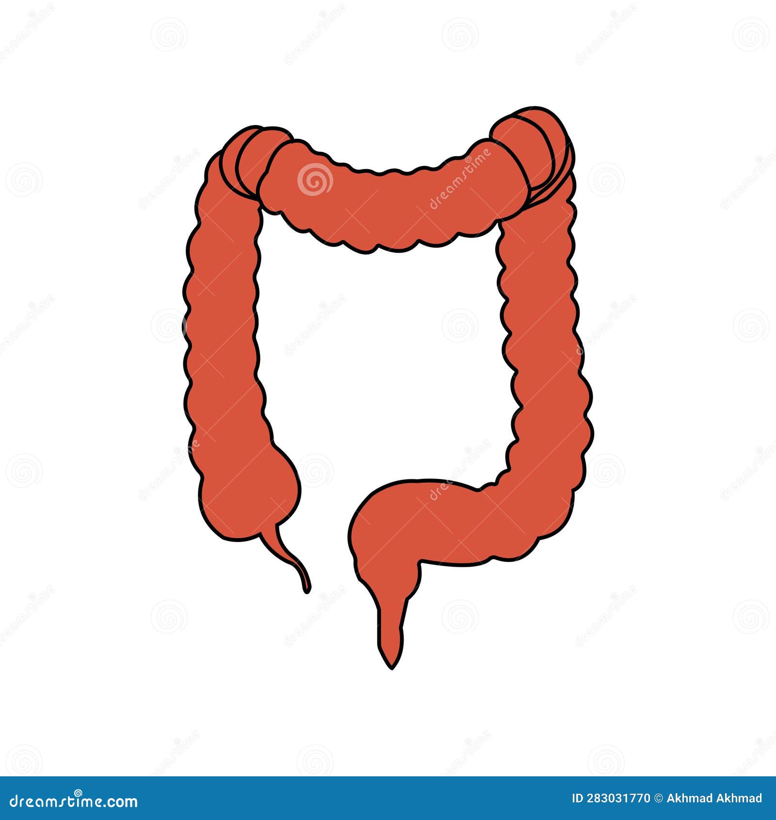 Intestines icon stock vector. Illustration of anatomy - 283031770