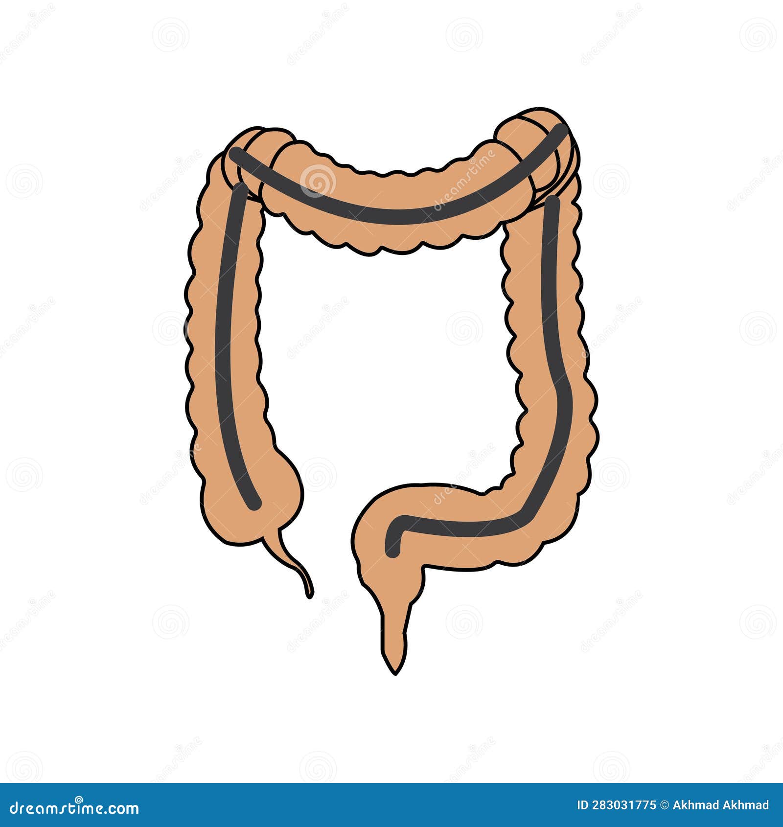 Intestines icon stock vector. Illustration of system - 283031775