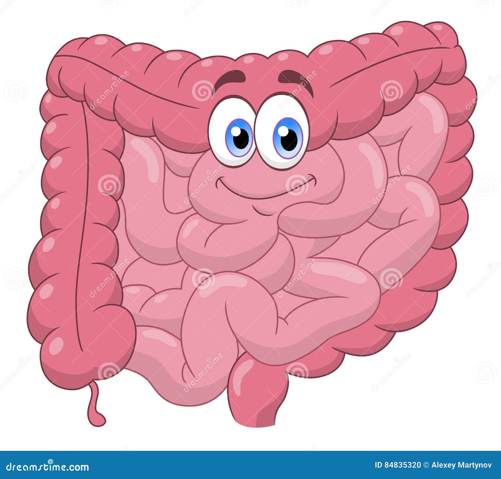 Intestinos Dos Desenhos Animados Ilustração do Vetor - Ilustração de ...