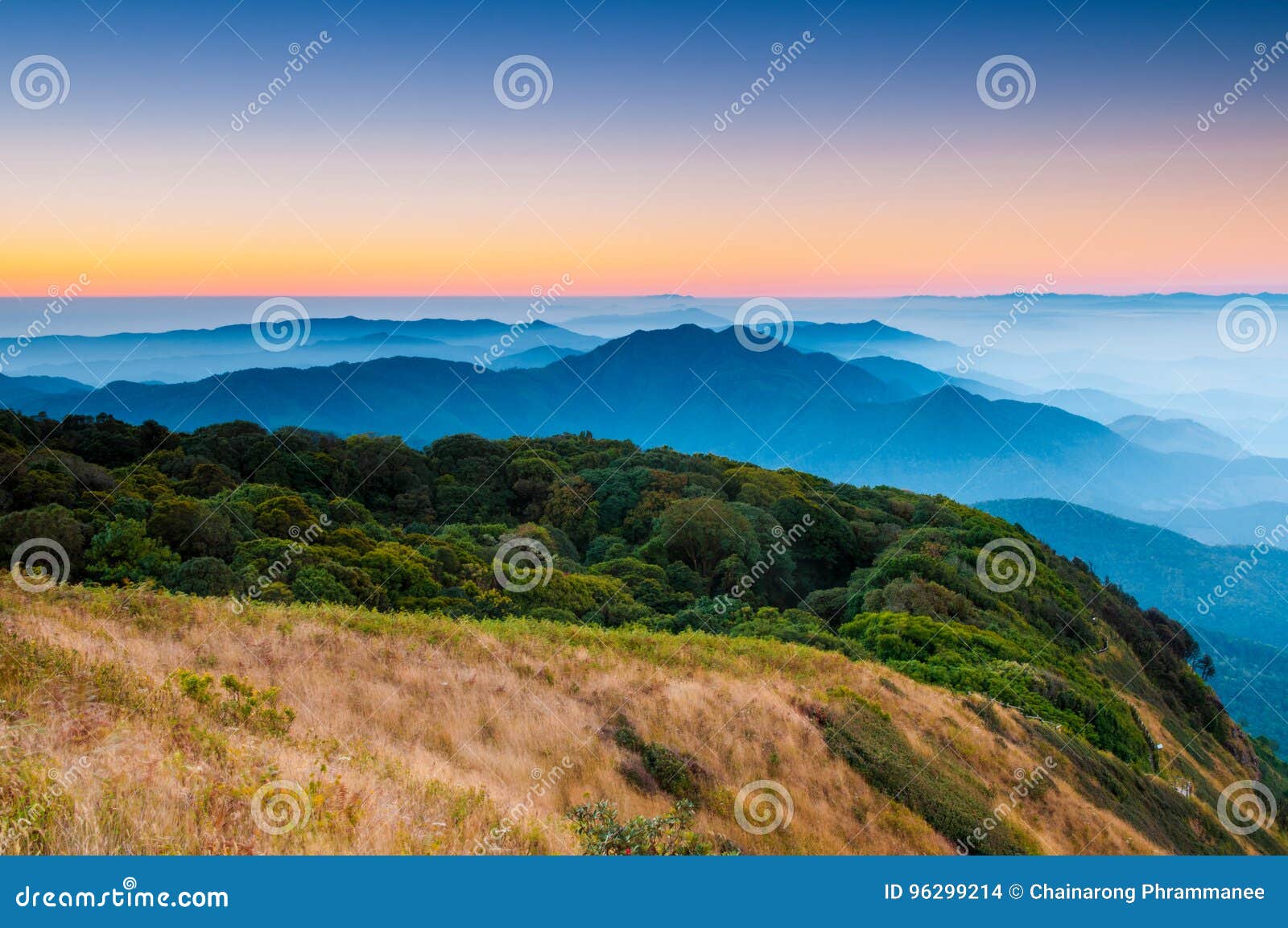 The Inthanon Mountains Forest Thailand. Stock Photo - Image of hill ...