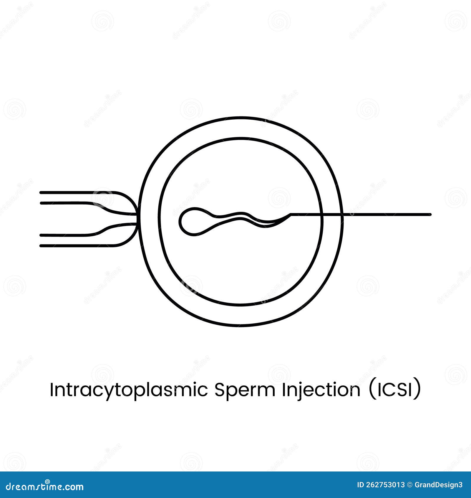 Intracytoplasmic Sperm Injection, ICSI, Line Icon in Vector Artificial ...