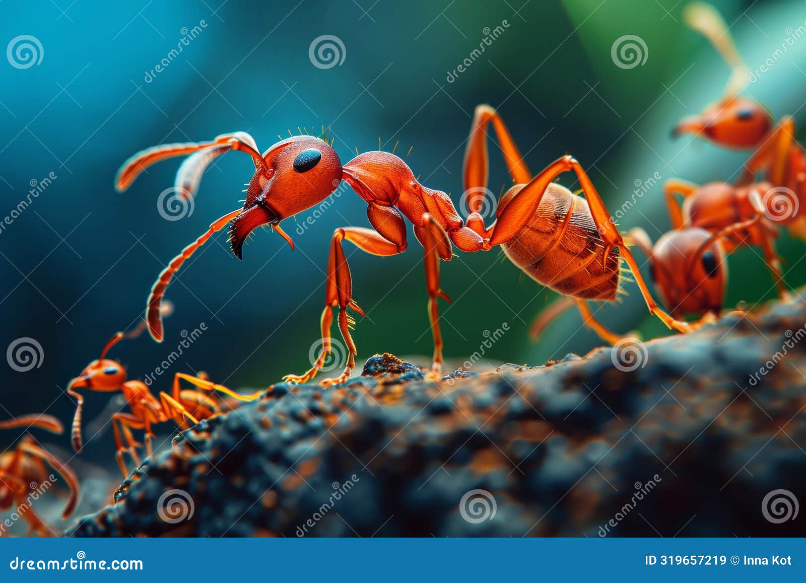 Intricate Ant Colony Marvels of Design and Relationships in Nest ...