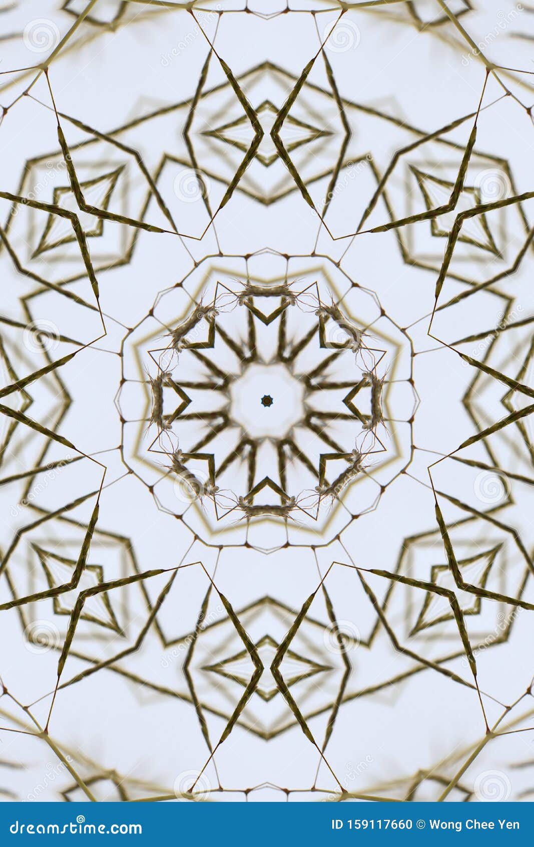 Intricate Circular Plant Stems Pattern on White Background Stock Photo ...