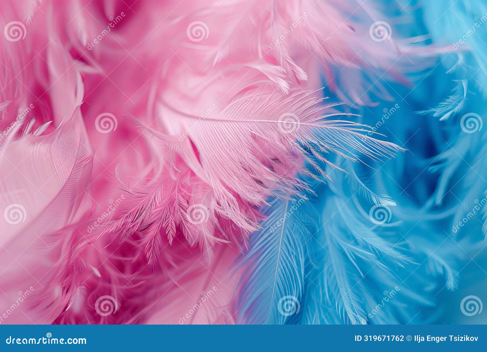 Exquisite Patterns: Close-Up Of Calathea Ornata Leaves, Generative AI ...