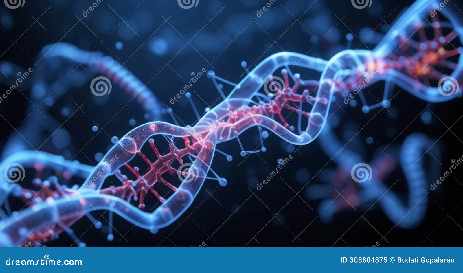 The Intricate Dance of DNA - a Visual Symphony of Life S Blueprint ...