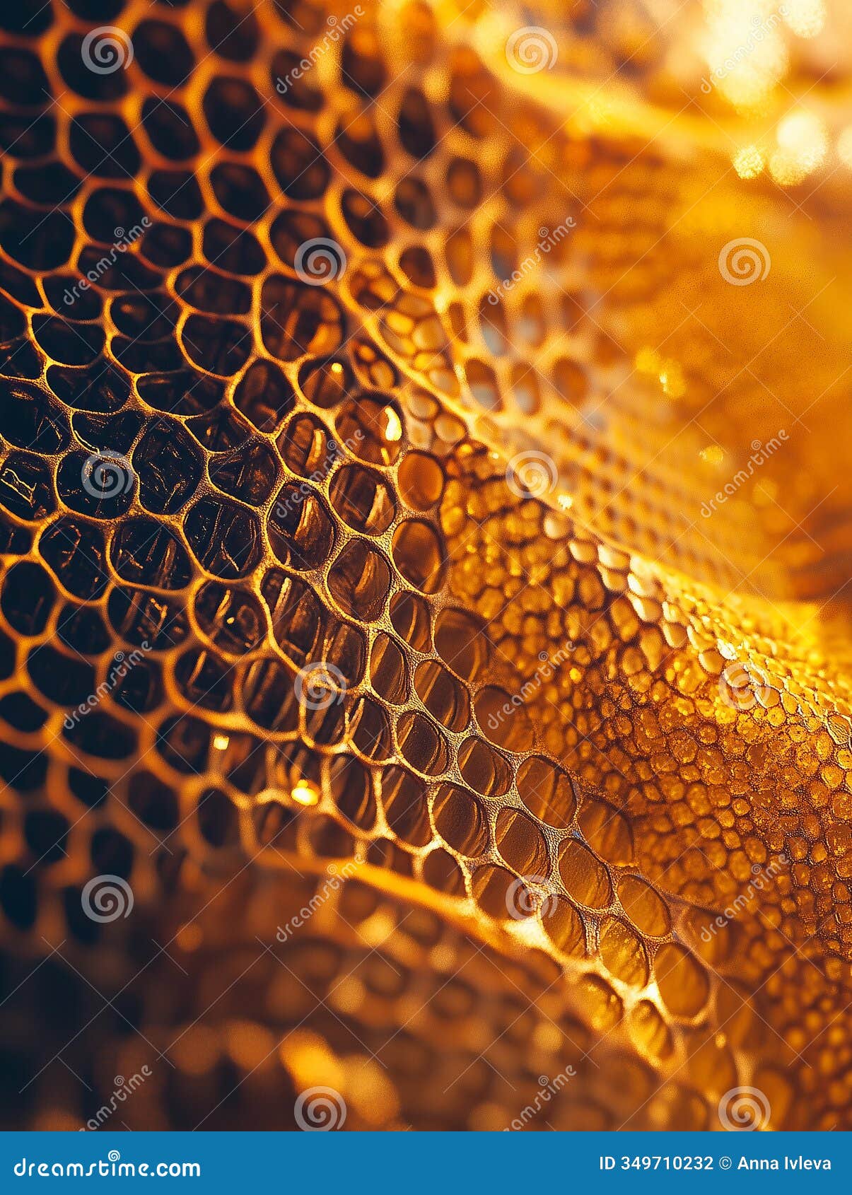 Intricate Details of Honeycomb Structure Showing Remarkable Patterns ...