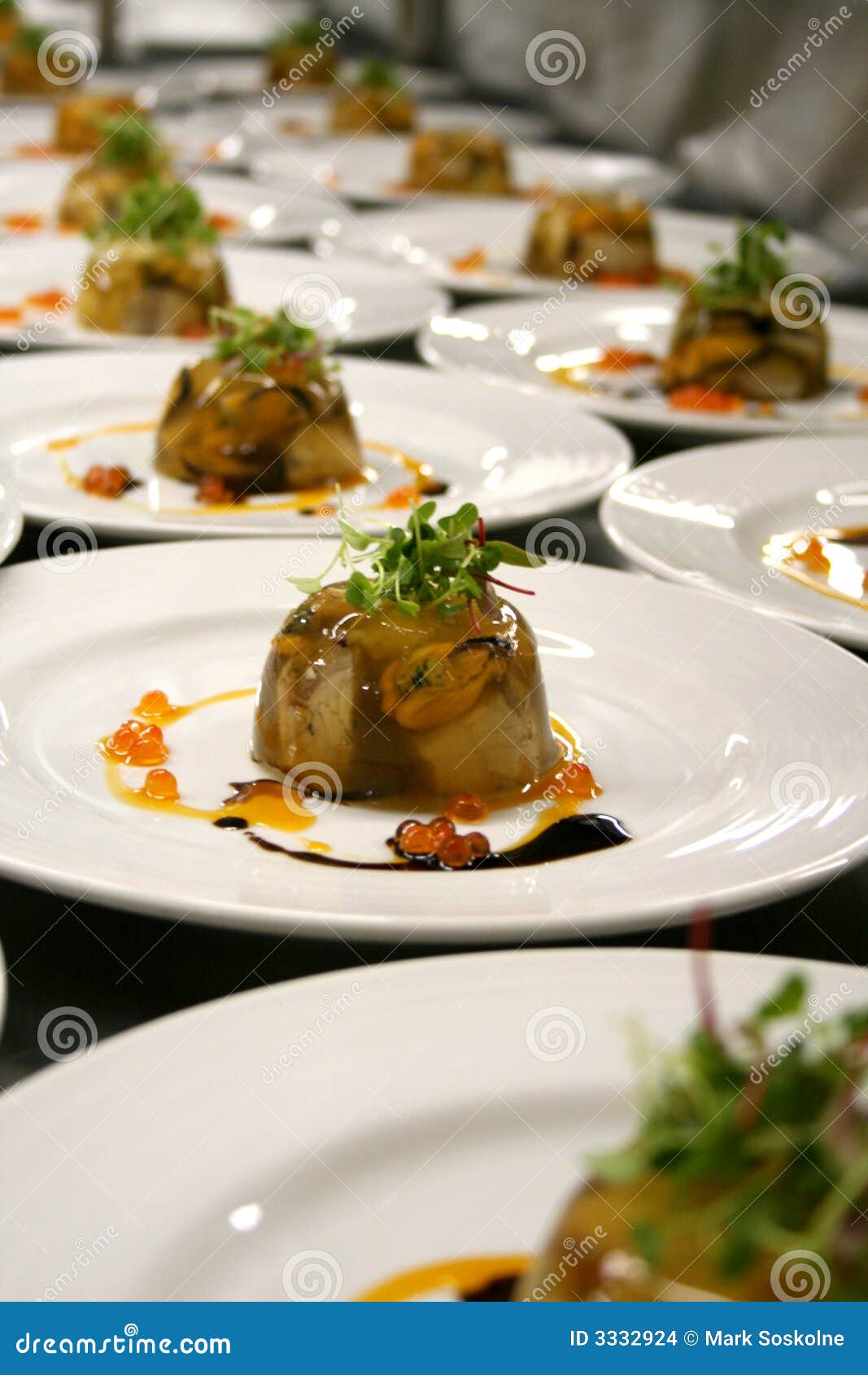 Intricate Food Array stock photo. Image of oeuvres, yellowfish - 3332924