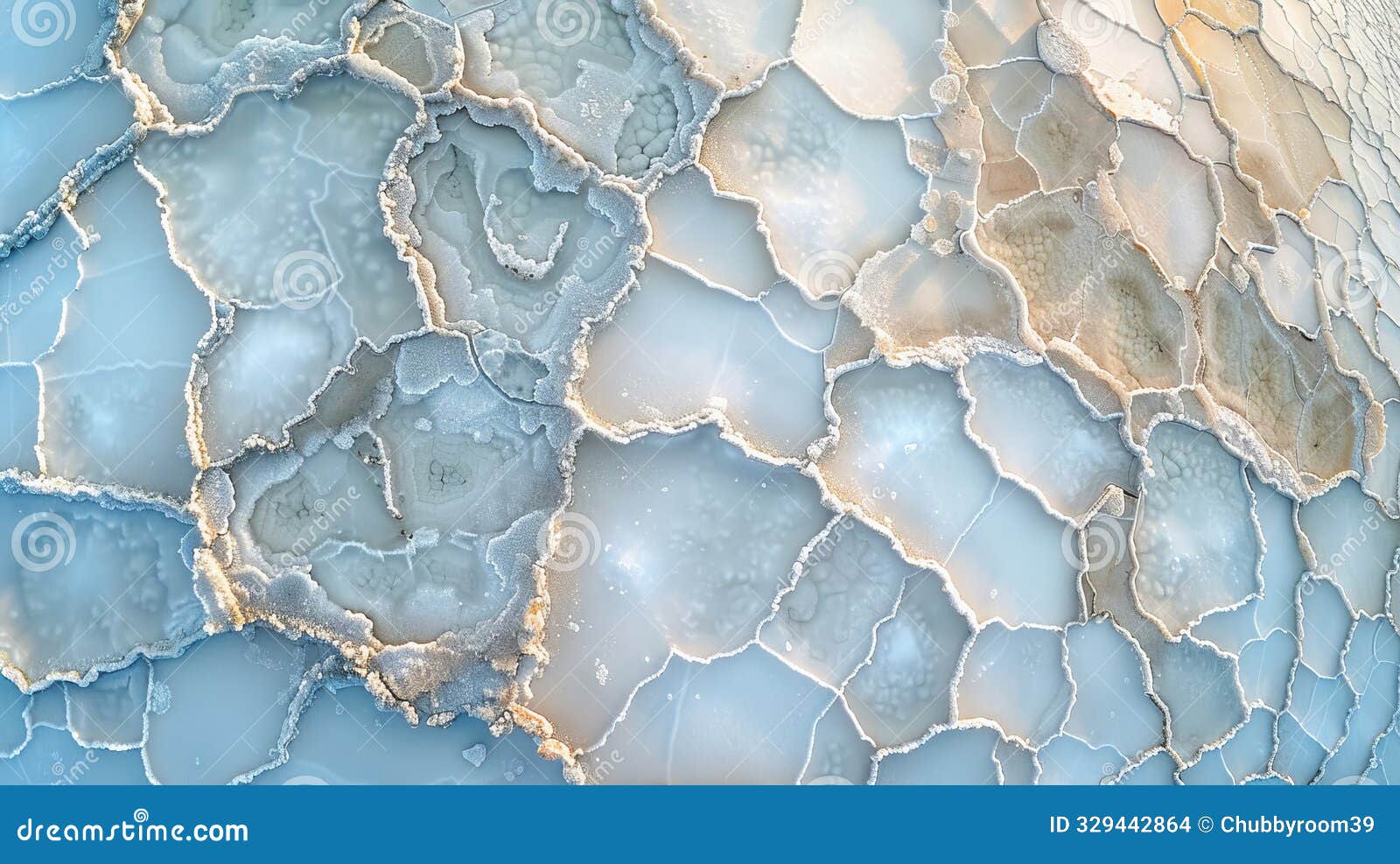 Intricate Geometric Patterns on Salt Flats Create Captivating Designs ...