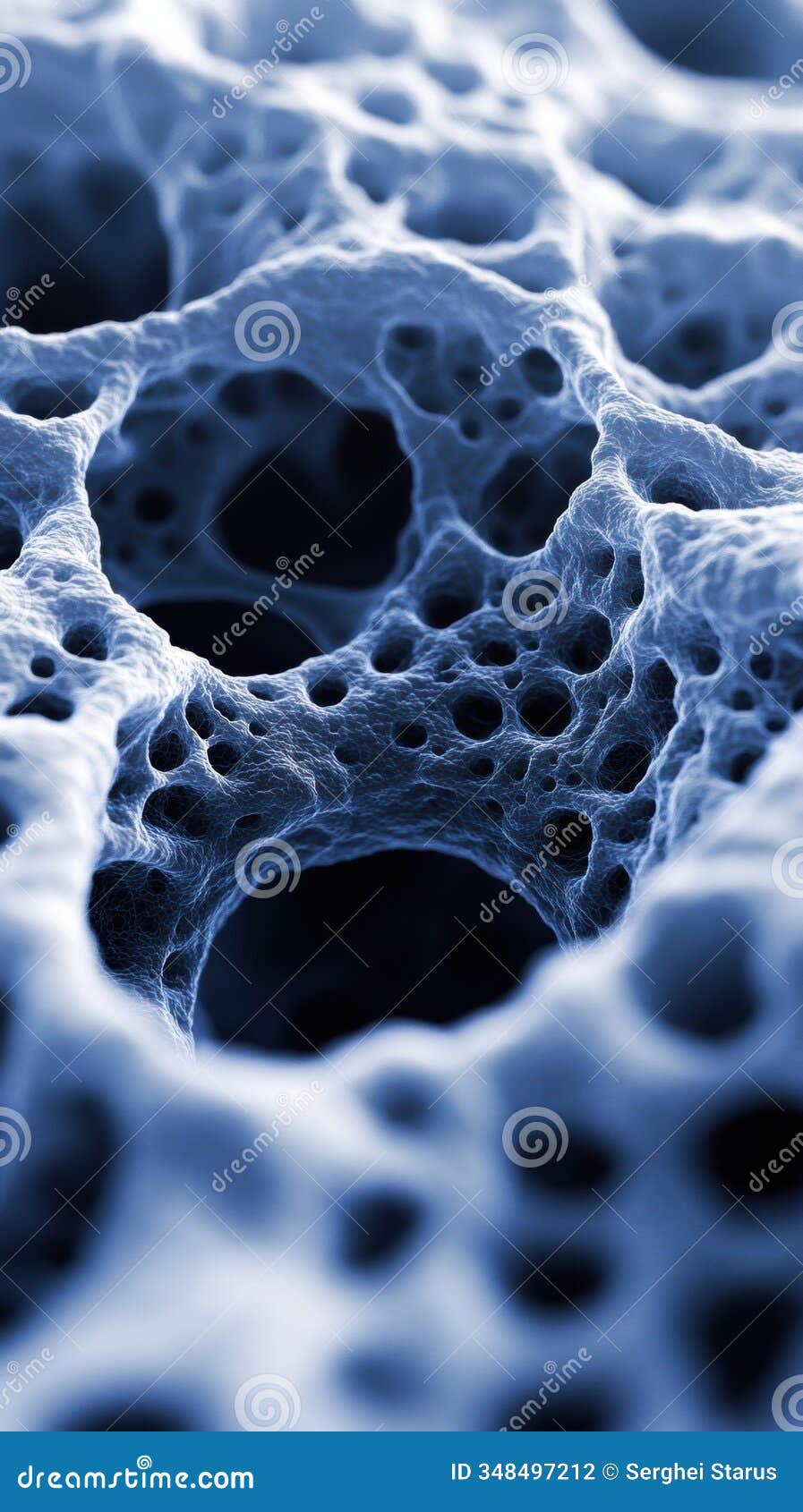 Intricate Microscopic View of Porous Material Resembling a Sponge ...