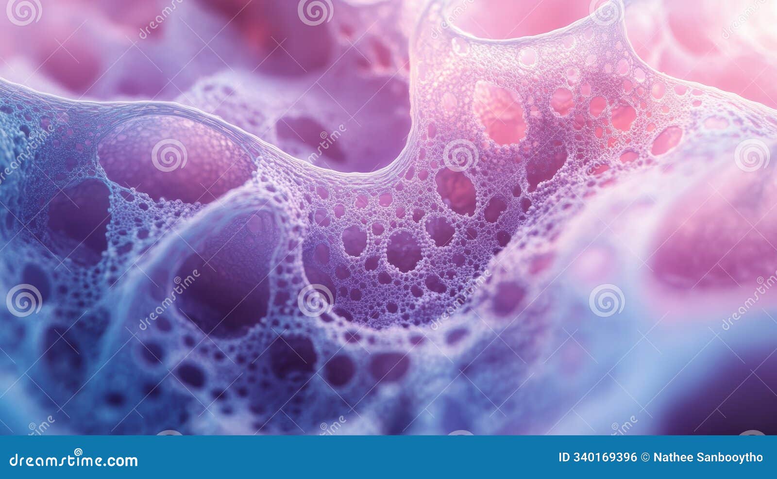 Intricate Network, a Closeup Exploration of the Cell Membrane S ...