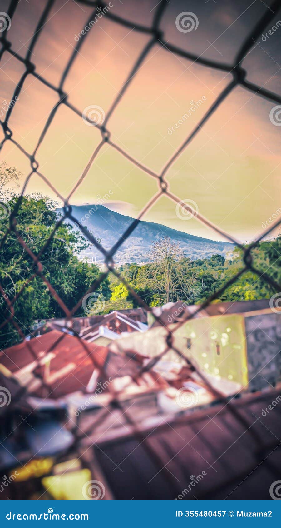 The Intricate Pattern of the Wire Mesh Frames a Stunning Vista of Mount ...