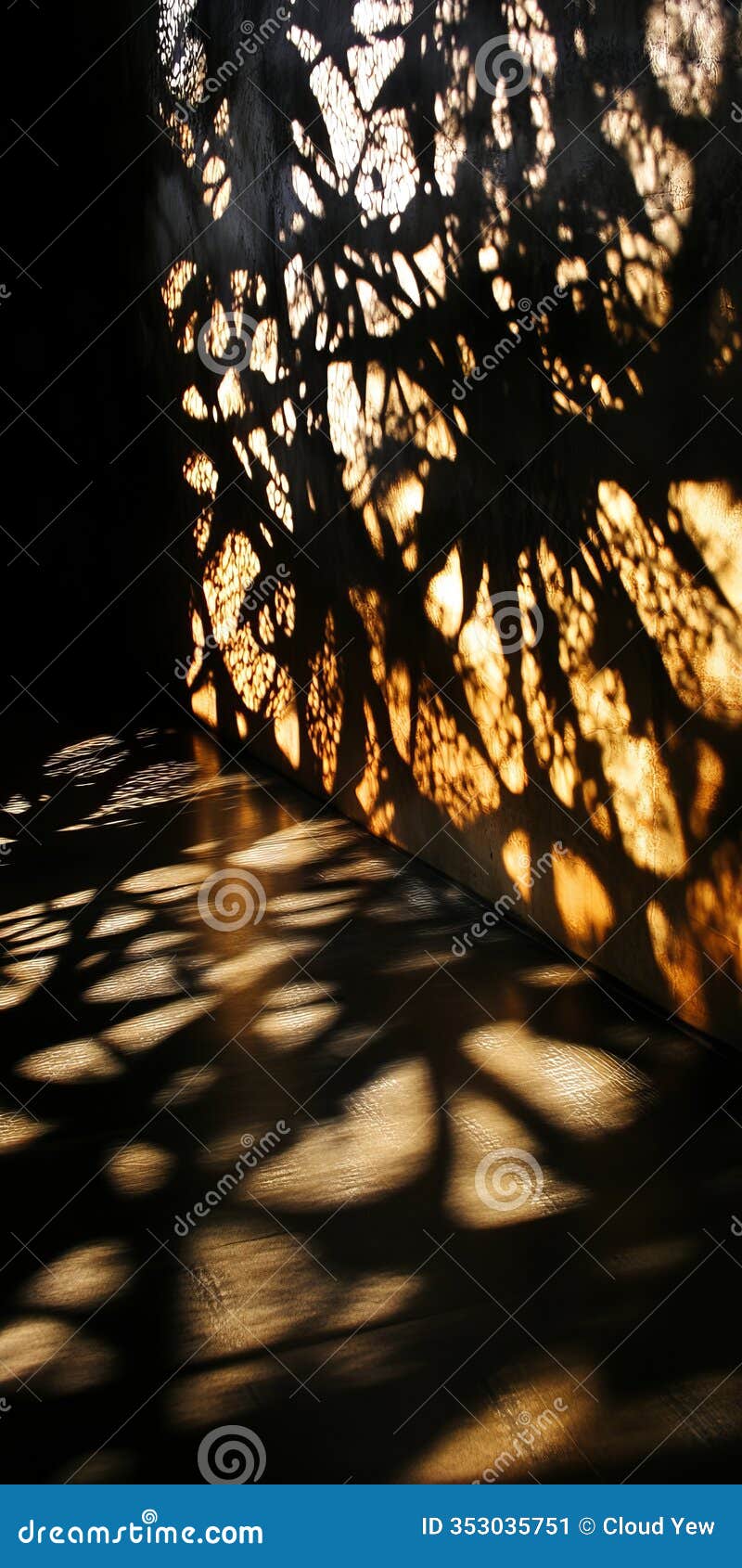 Intricate Shadow Patterns On Church Floor From Stained Glass Window ...