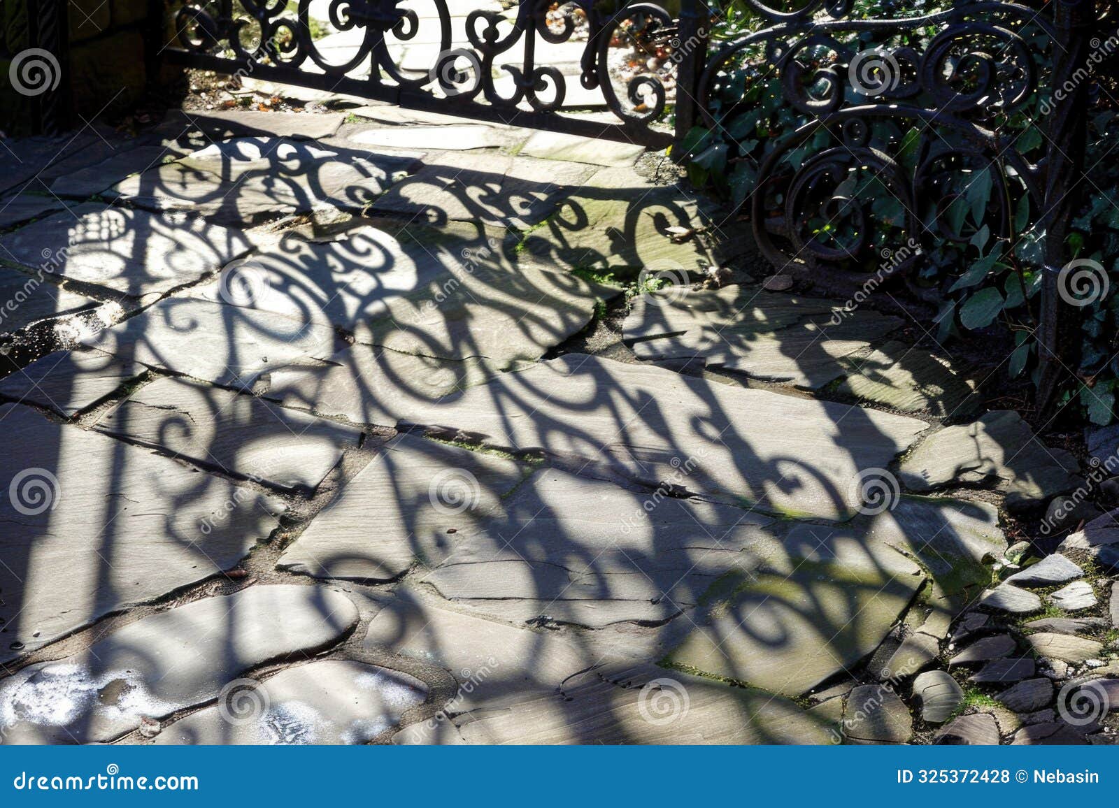 Intricate Shadows of a Wrought Iron Gate Cast on a Stone Pathway in a ...