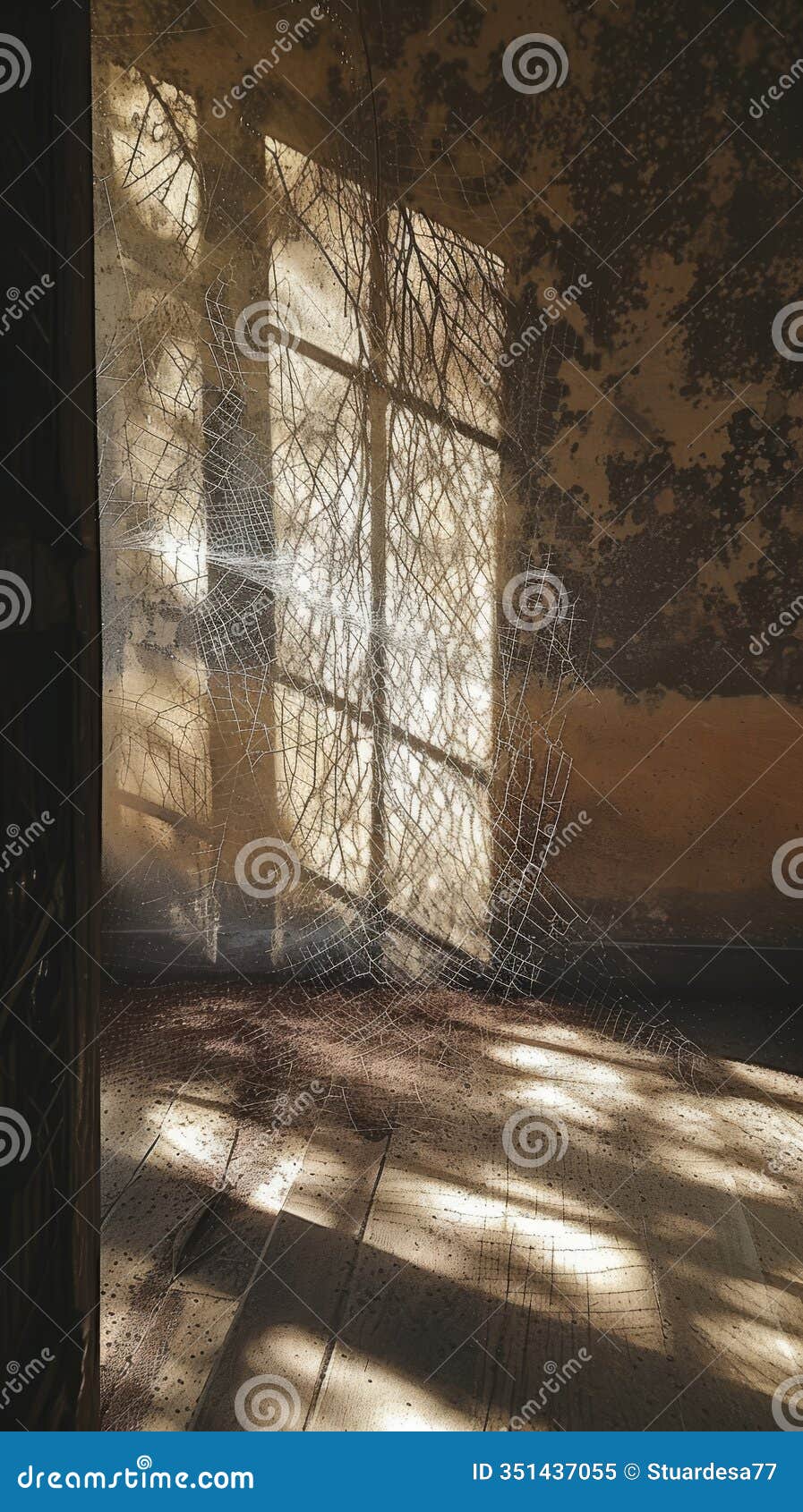 Spider Web in Abandoned Room with Sunlight Beams Stock Image - Image of ...