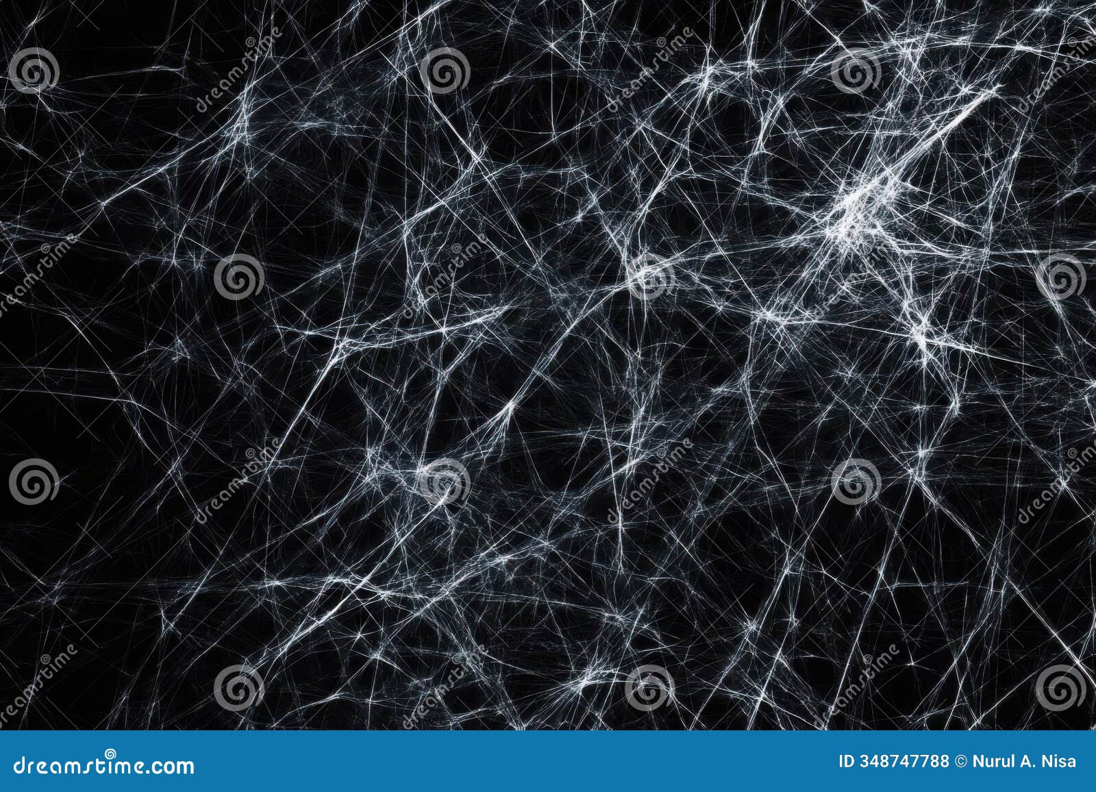 Intricate Spiderweb Texture on Black Background Stock Illustration ...