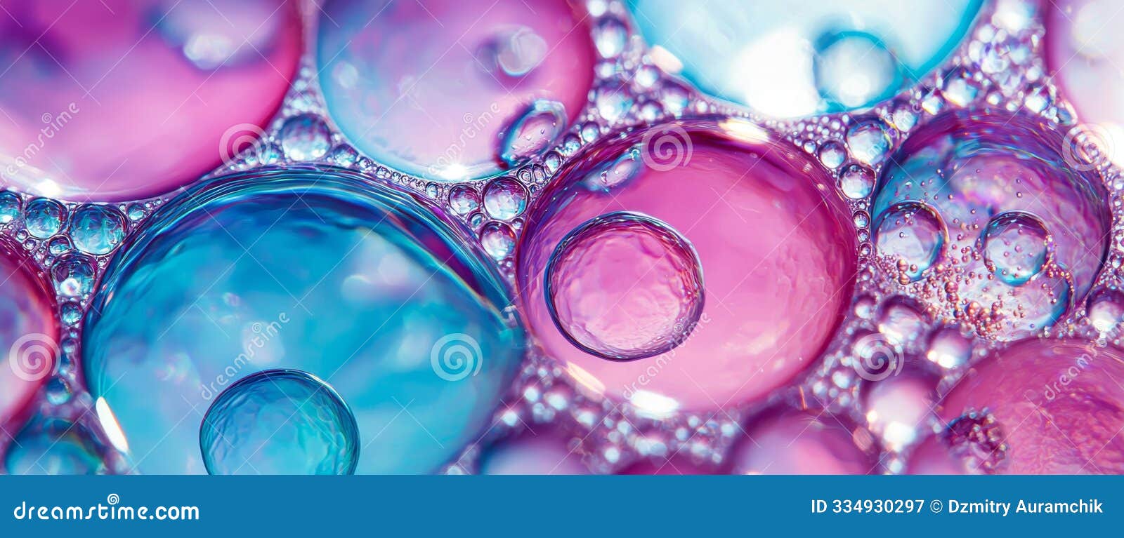 Microscopic Images Of Cells In Different Stages Of Cytokinesis ...