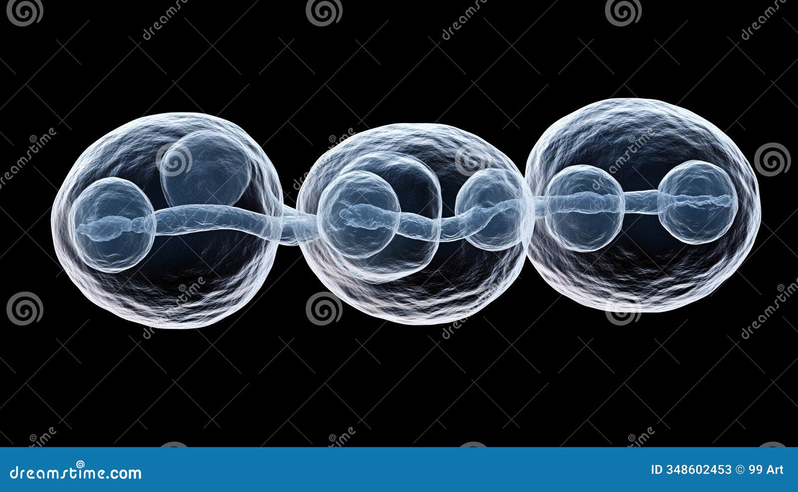 Intricate Visualization of Cellular Division Process in Biology Stock ...