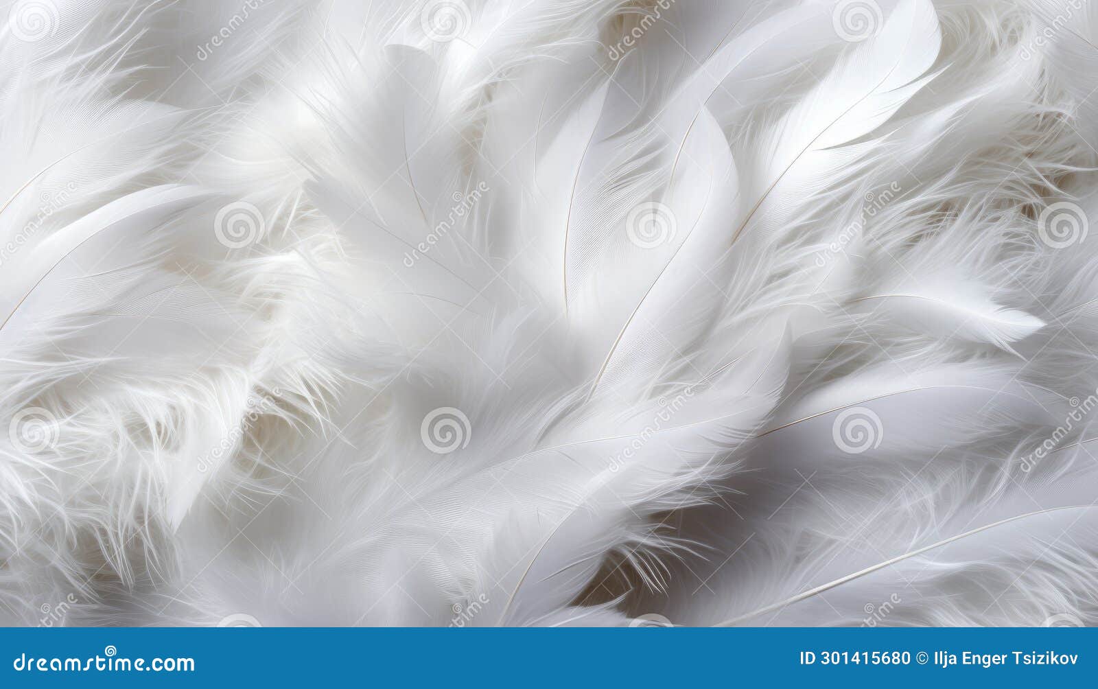 Intricate White Feathers Texture Background Highlighting Large Bird ...