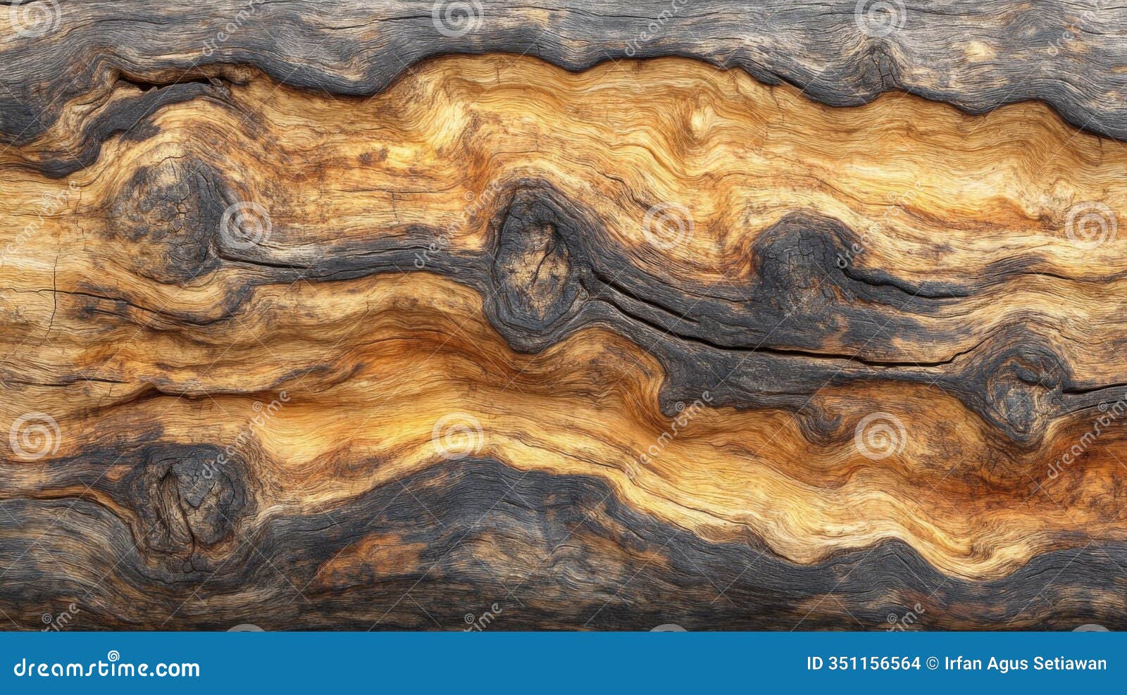 Intricate Wood Grain Patterns in Aged Timber Stock Illustration ...