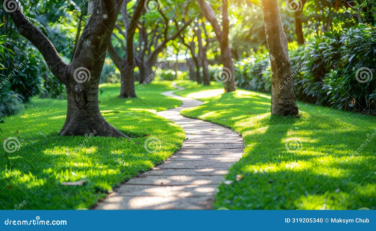 Intriguing Insect Tracks Tiny Pathways Weaving through the Grass and ...
