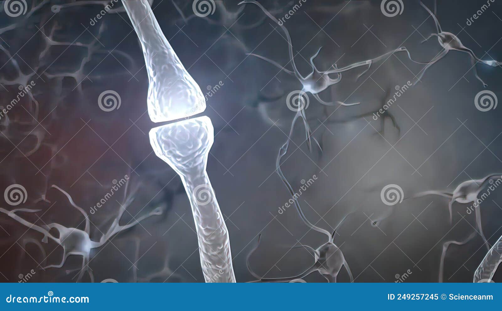 Intro Brain Impulses. Neuron System. Transferring Pulses and Generating ...