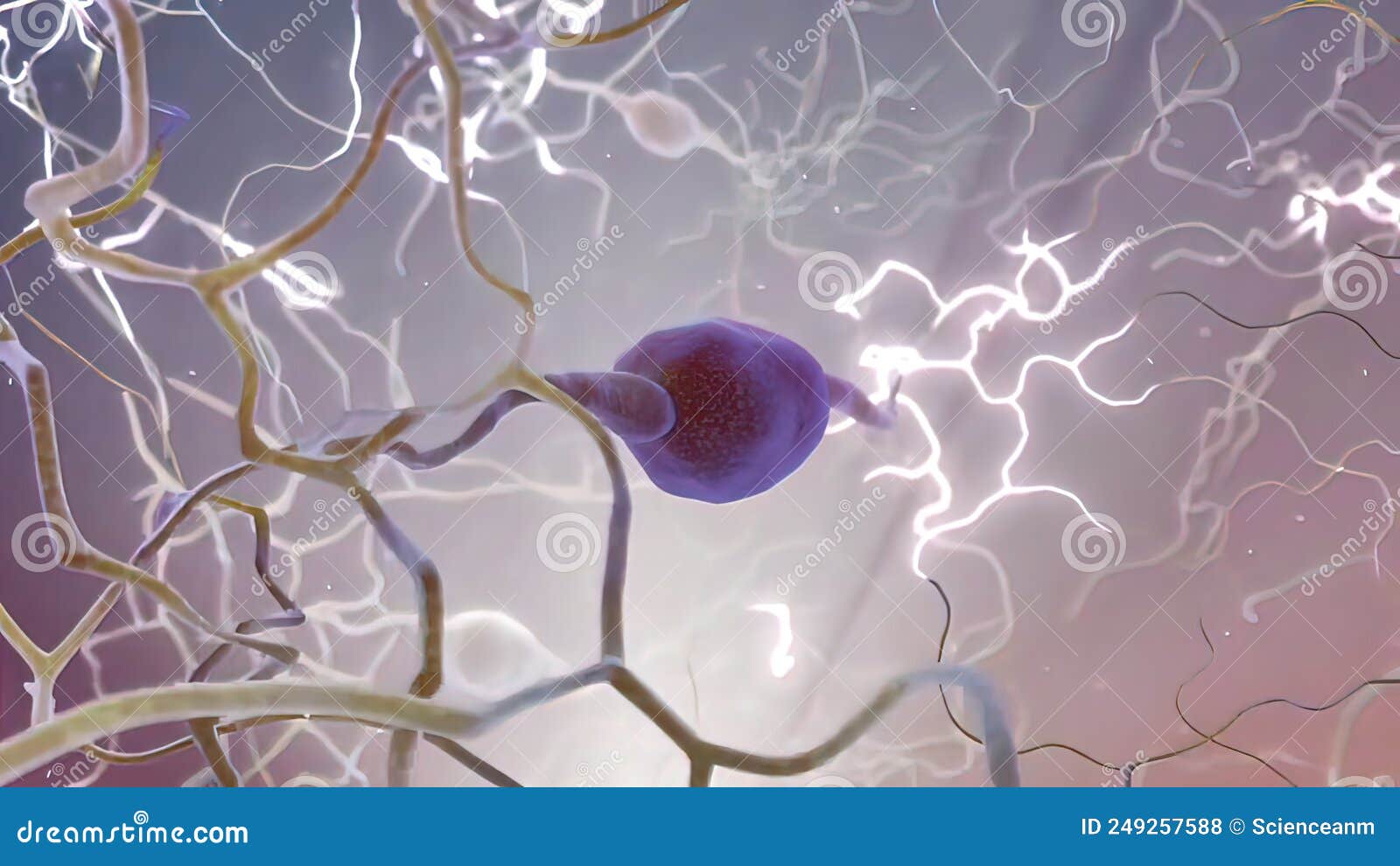 Intro Brain Impulses. Neuron System. Transferring Pulses and Generating ...