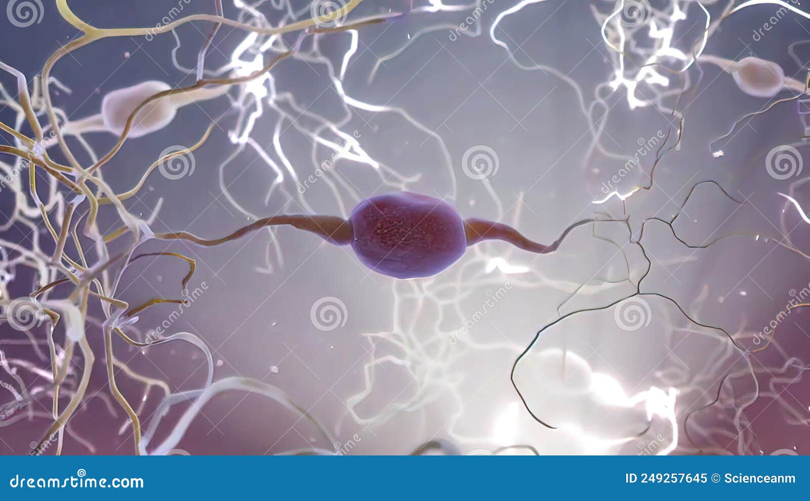 Intro Brain Impulses. Neuron System. Transferring Pulses and Generating ...