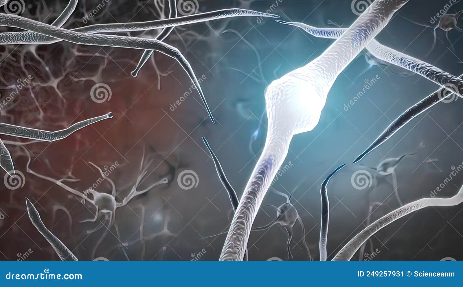 Intro Brain Impulses. Neuron System. Transferring Pulses and Generating ...
