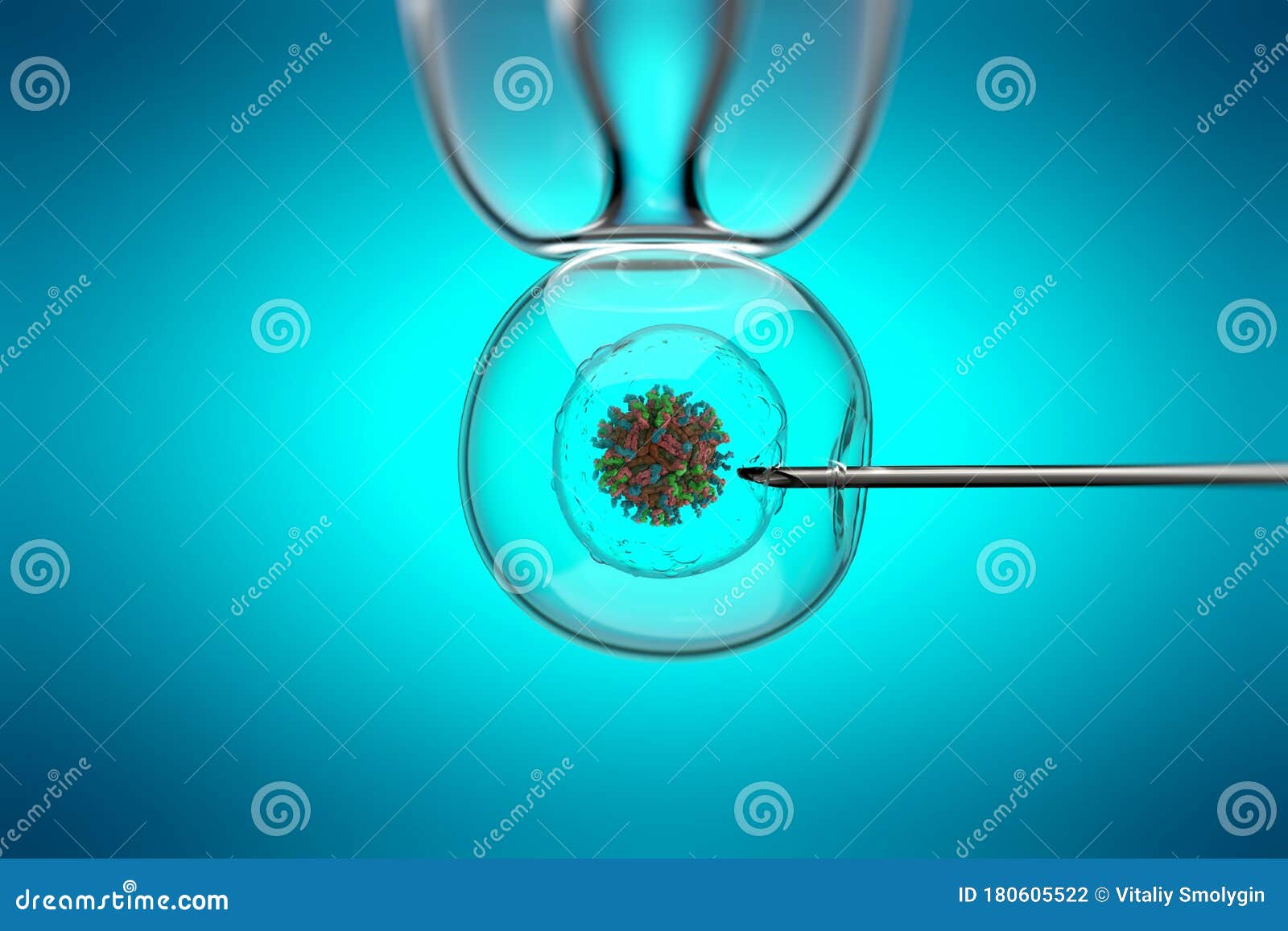 The Introduction of the Vaccine into the Cell with the Virus Stock ...