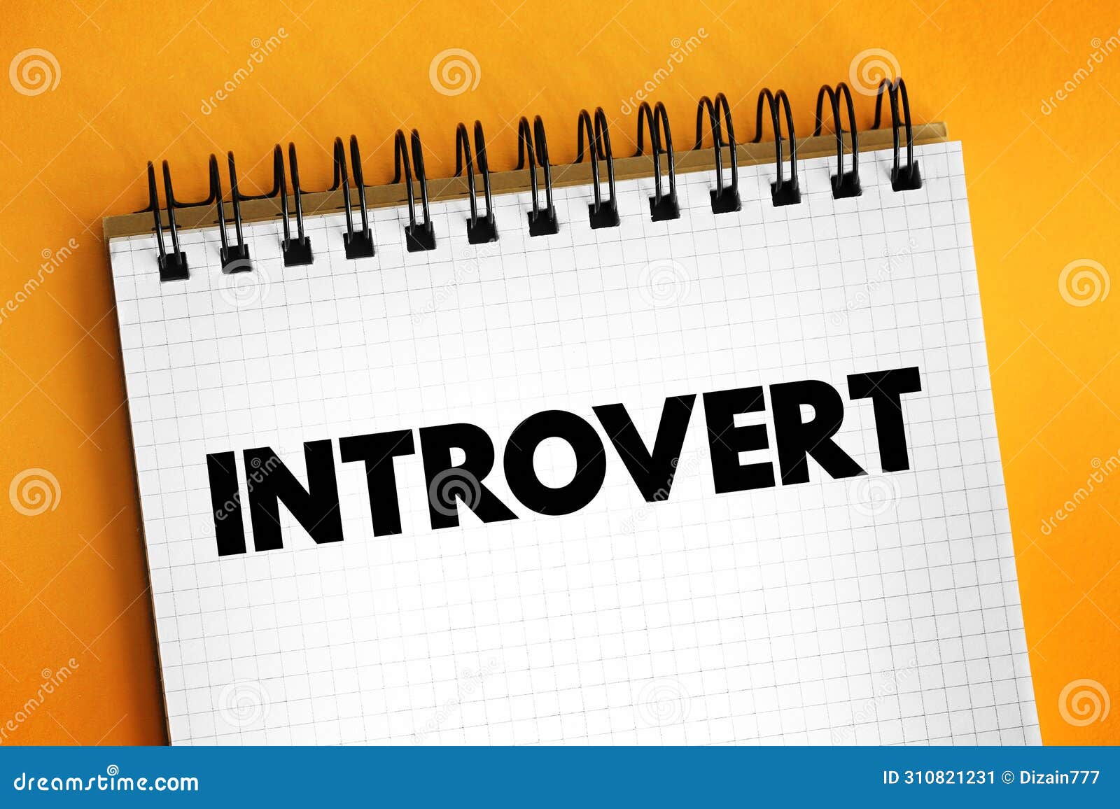 Introvert is a Person with Qualities of a Personality Type Known As ...