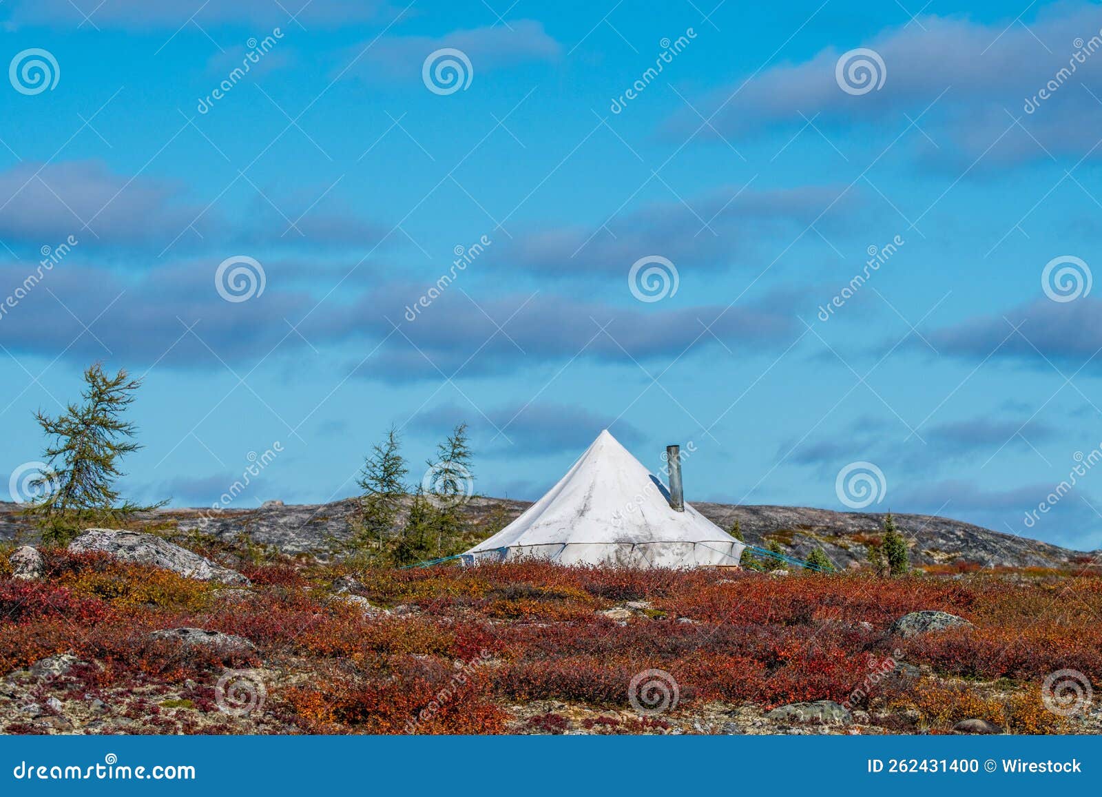 Inuit Tent Captured in Wilderness, Surrounded by Vegetation Stock Photo ...