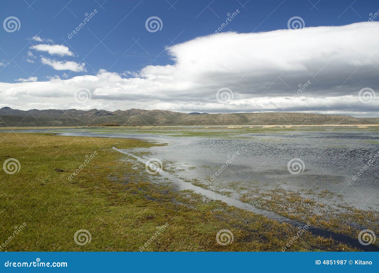 Inundated Feedlot in Argentina Stock Image - Image of south, hills: 4851987