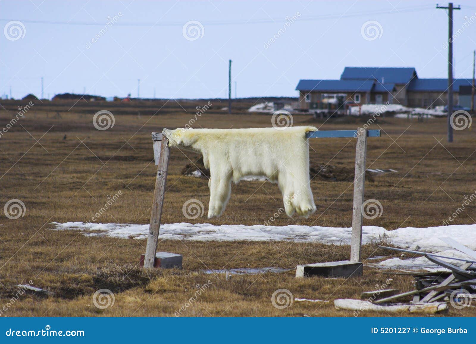 Inupiat Culture stock image. Image of fisherman, animal - 5201227