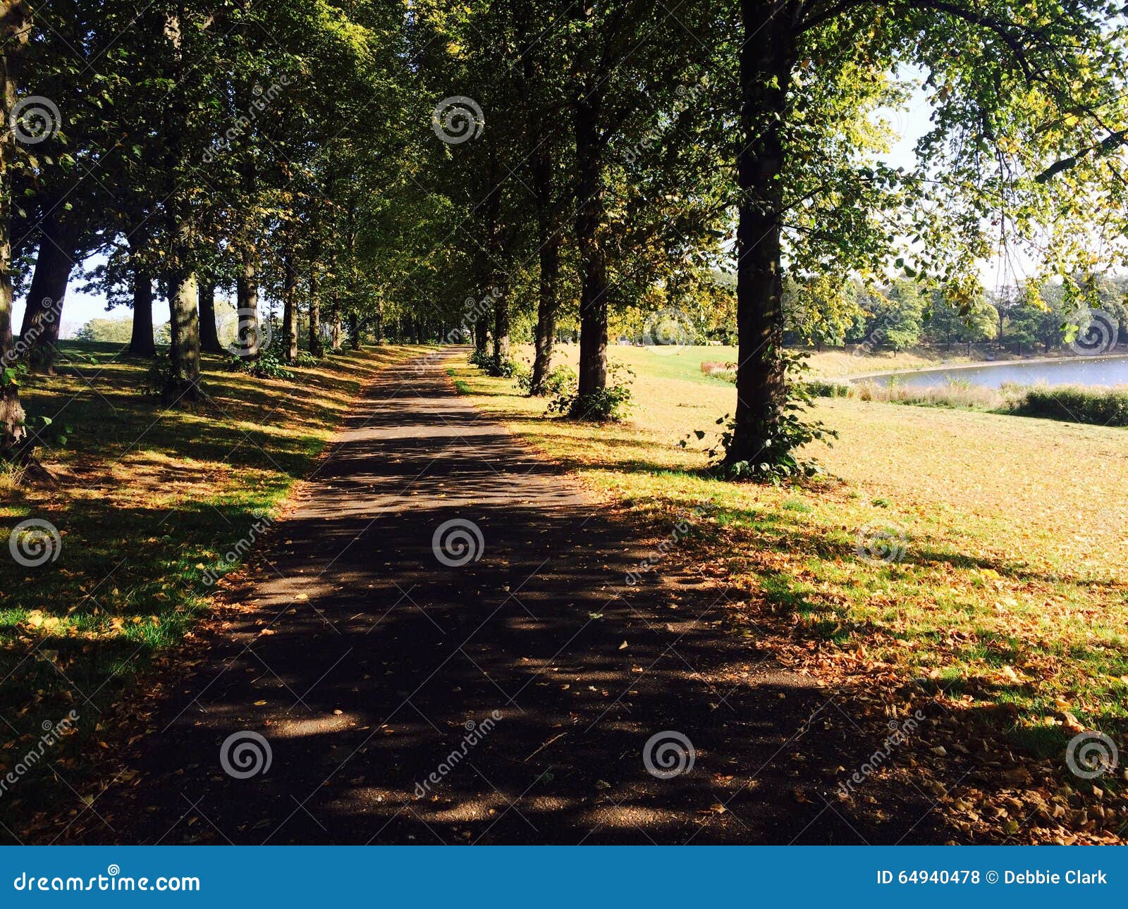 Inverleith Park, Edinburgh stock photo. Image of summer - 64940478