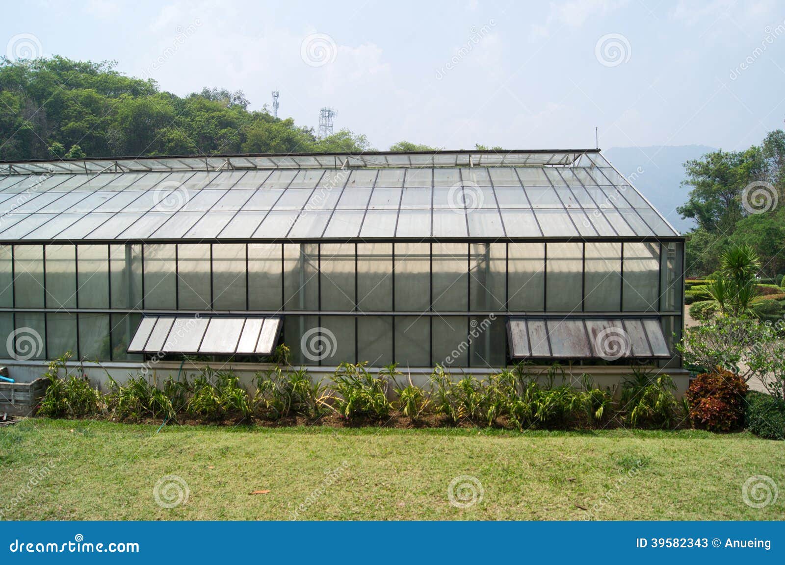 Invernadero imagen de archivo. Imagen de agricultura - 39582343