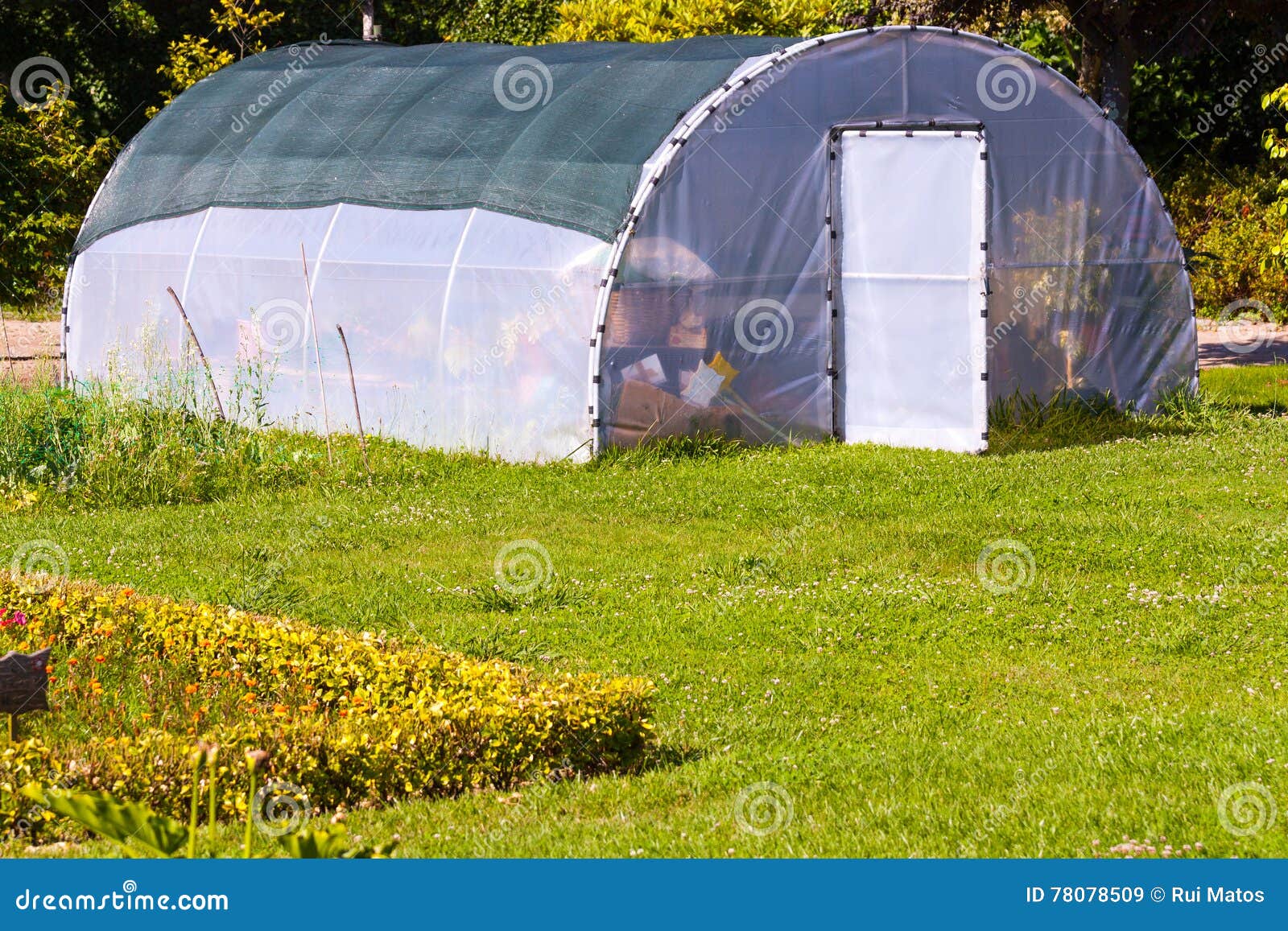 Invernadero Fotos De Stock - Descarga 151,189 Fotos Libres de Derechos