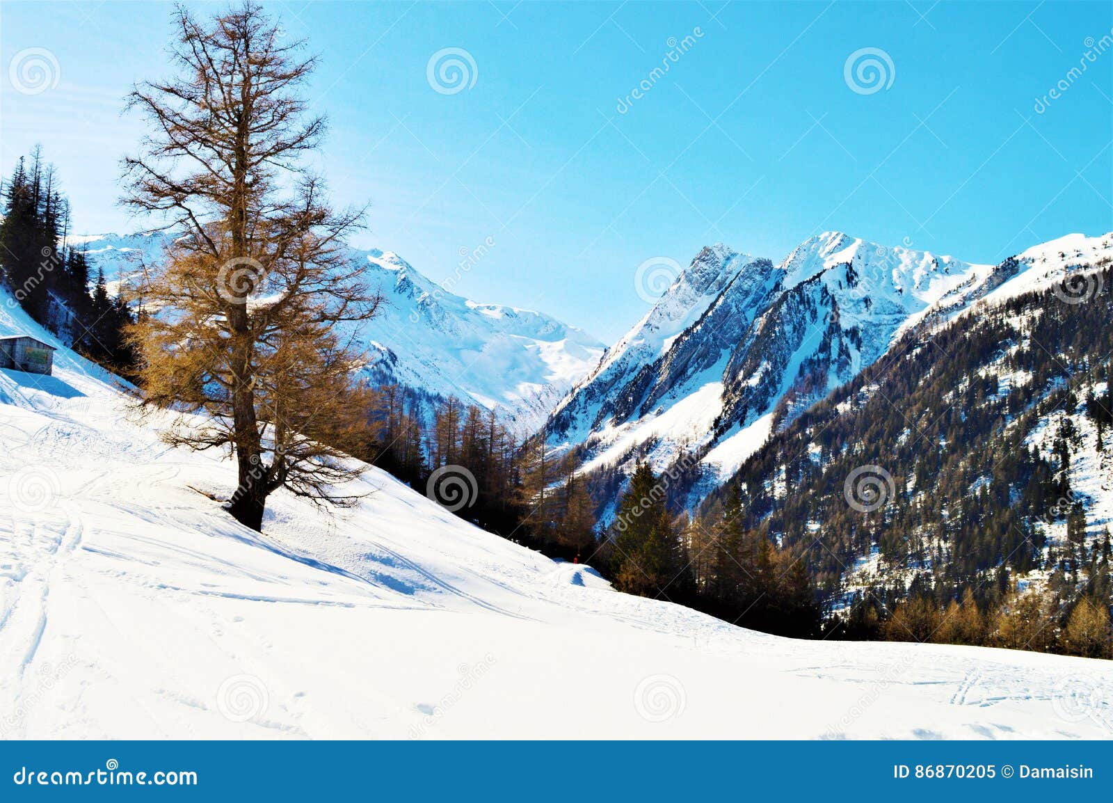 Inverno in alpi svizzere immagine stock. Immagine di panoramico - 86870205