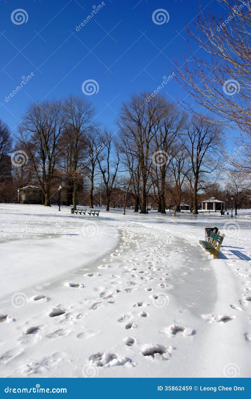 Inverno de Boston imagem de stock. Imagem de tijolo, comum - 35862459