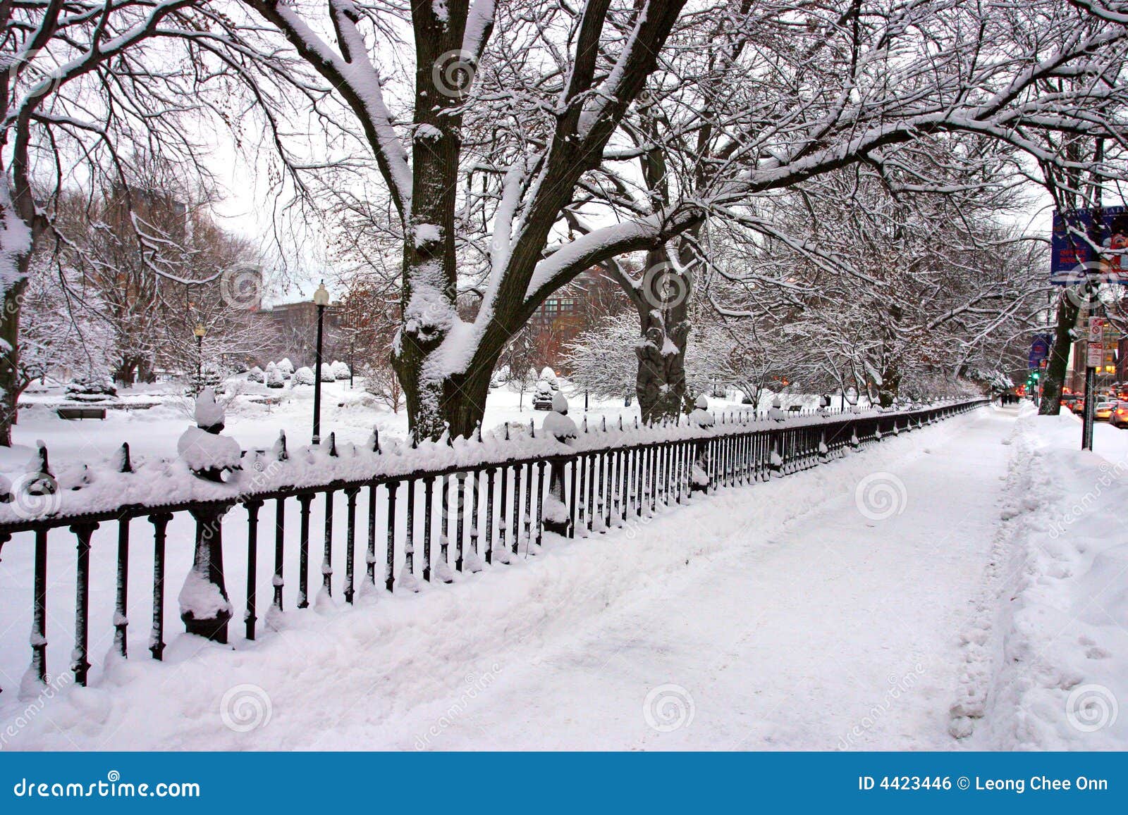Inverno de Boston foto de stock. Imagem de bolota, velho - 4423446
