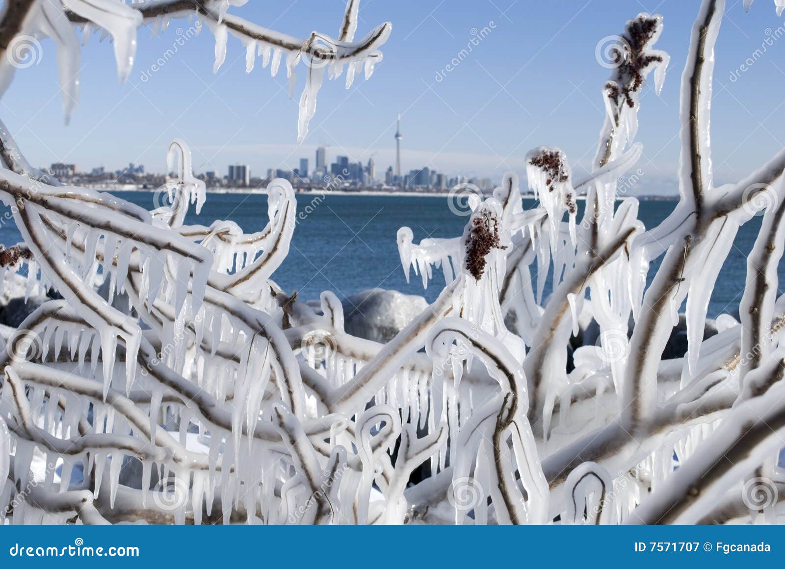 Inverno em toronto imagem de stock. Imagem de centro, inverno - 7571707