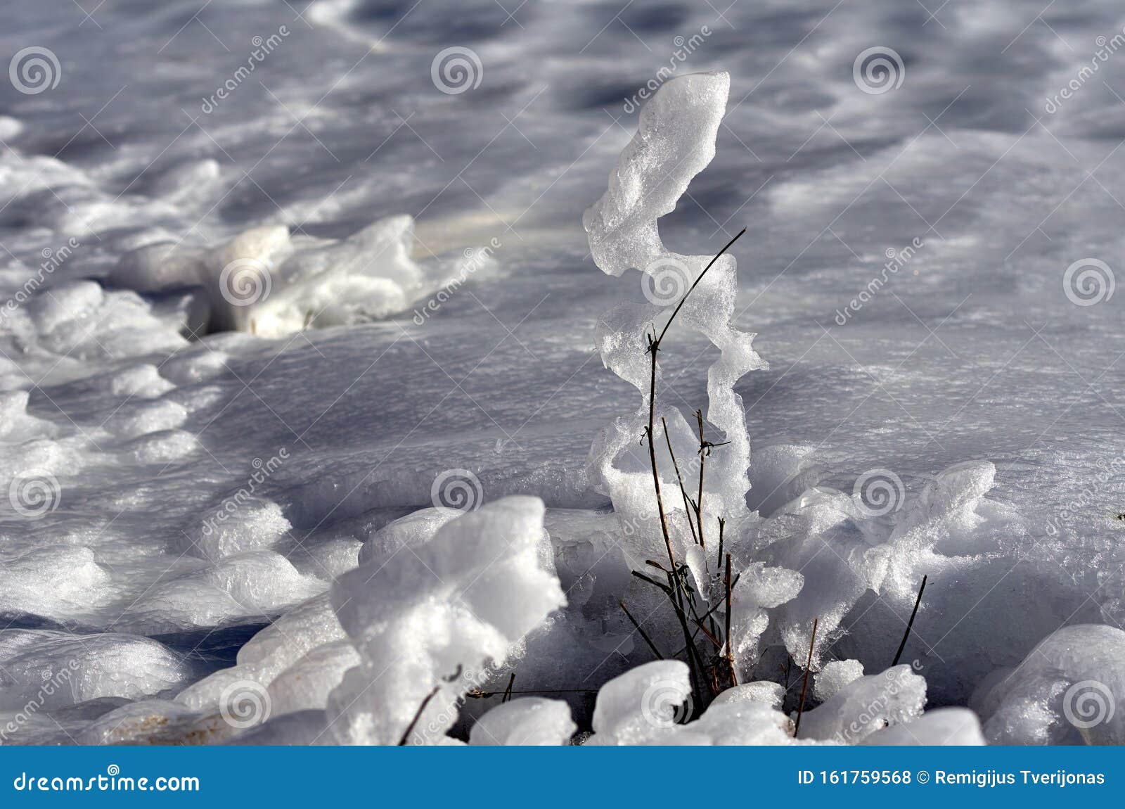 Inverno Natural Com Neve Derivada E Neve Caindo Foto de Stock - Imagem ...
