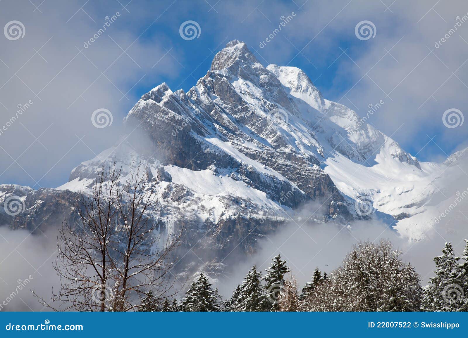 Inverno nos alpes foto de stock. Imagem de paisagem, abeto - 22007522