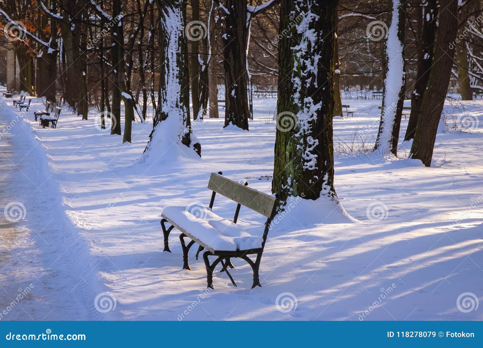 Inverno a Varsavia immagine stock. Immagine di albero - 118278079