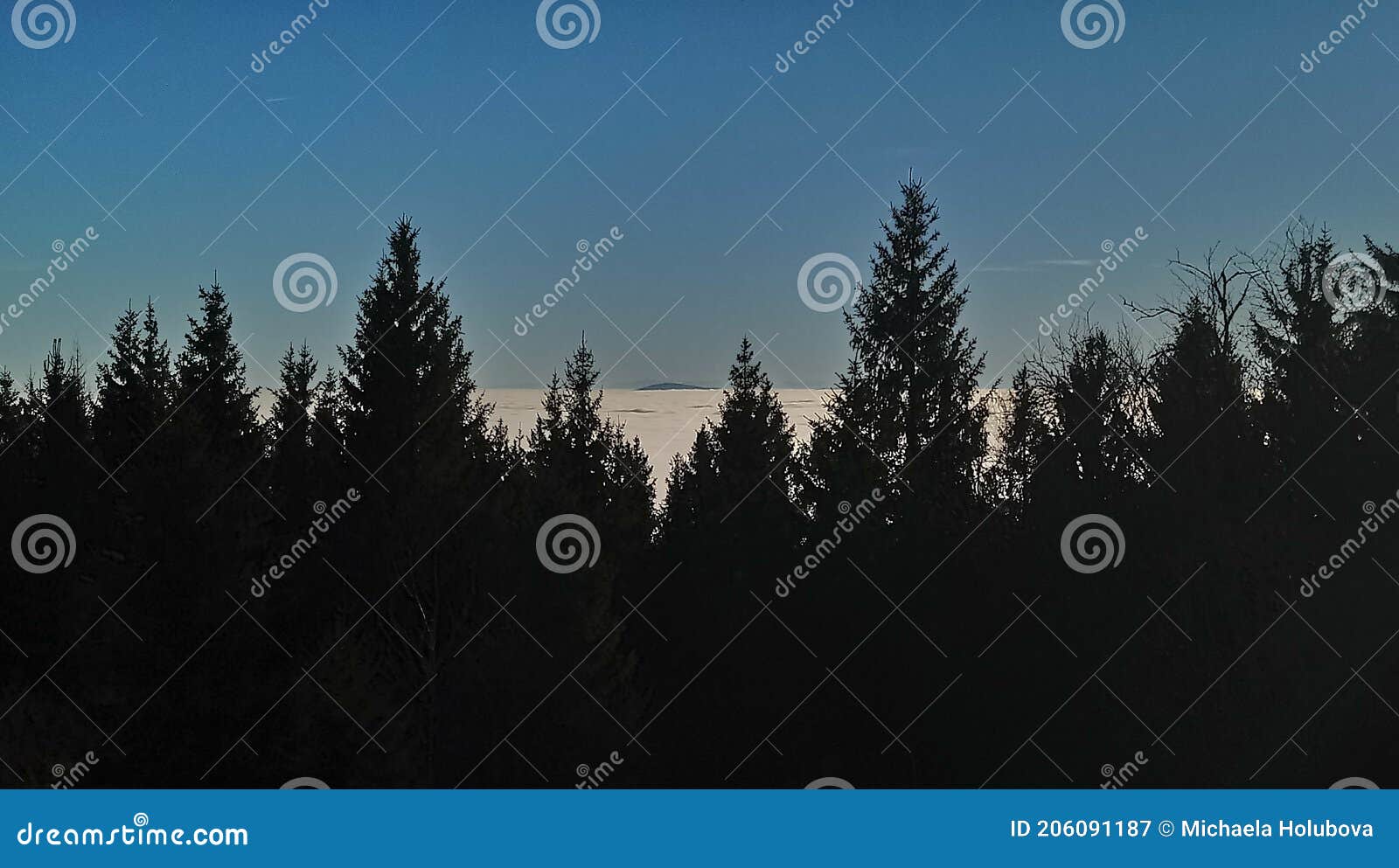 Inversion Fog Behind the Trees in Klet and Alps in Austria in Far Away ...