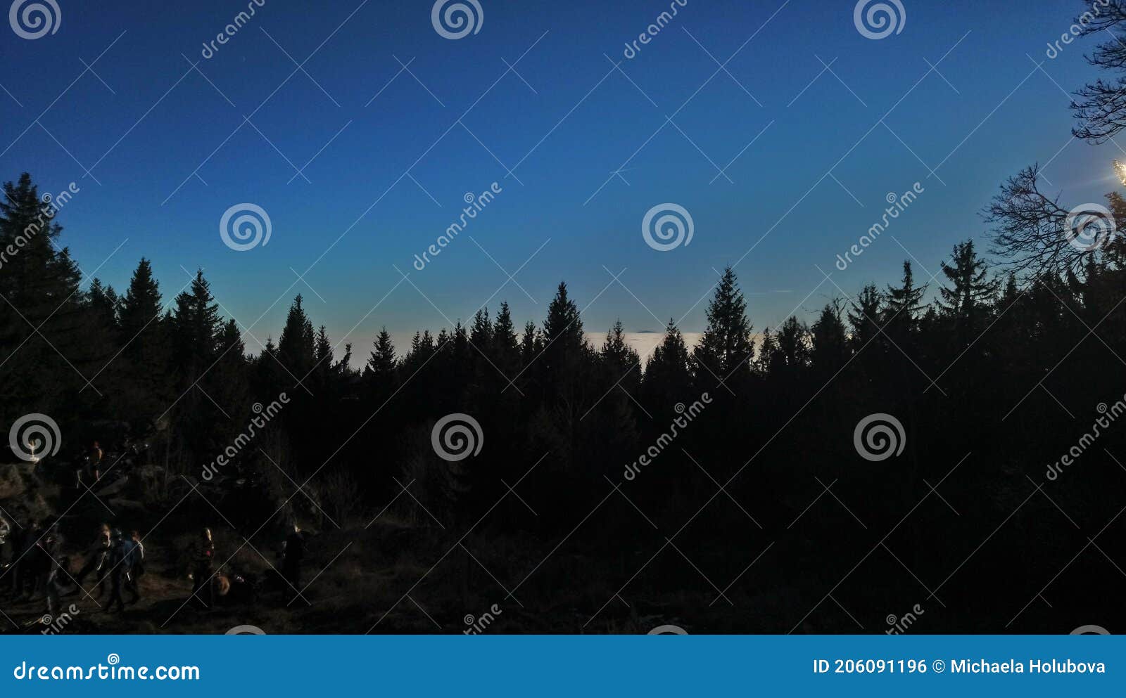 Inversion Fog Behind the Trees in Klet and Alps in Austria in Far Away ...