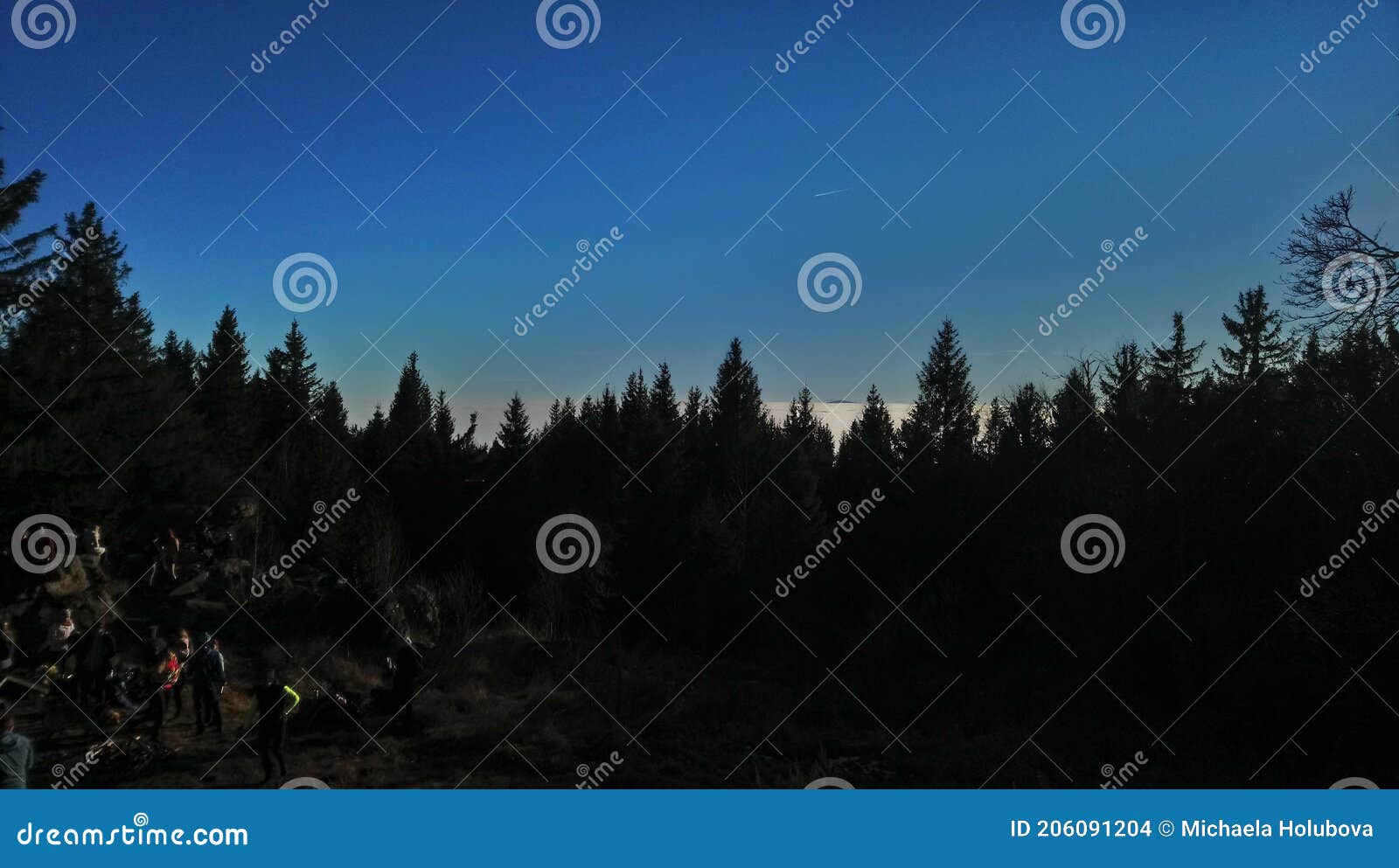 Inversion Fog Behind the Trees in Klet and Alps in Austria in Far Away ...
