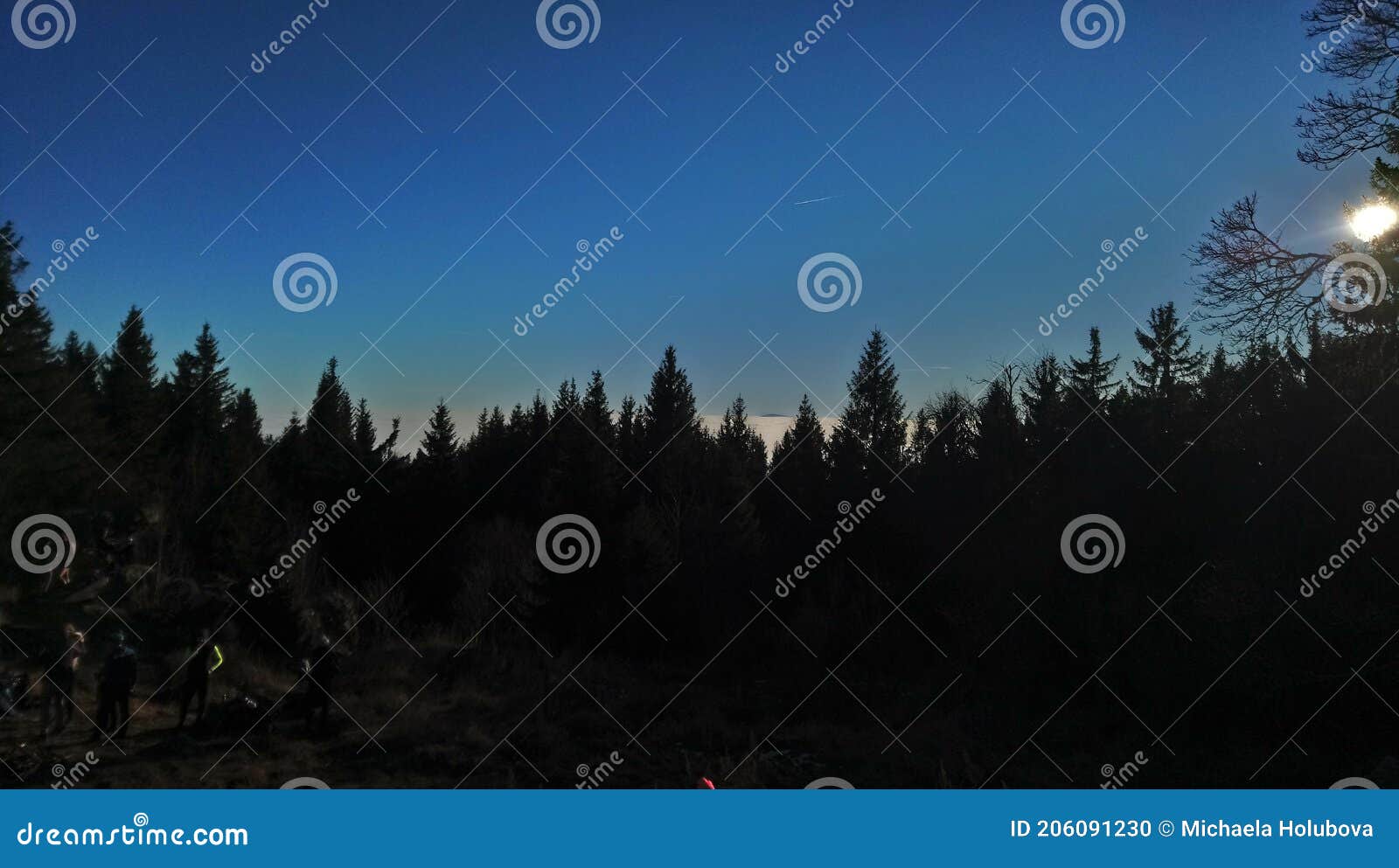 Inversion Fog Behind the Trees in Klet and Alps in Austria in Far Away ...